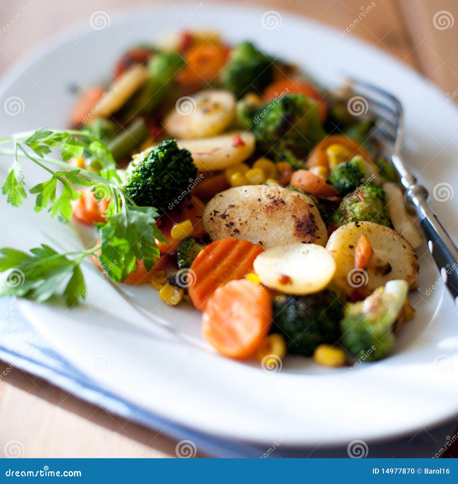 Jantar saudável foto de stock. Imagem de torrado, salsa - 14977870