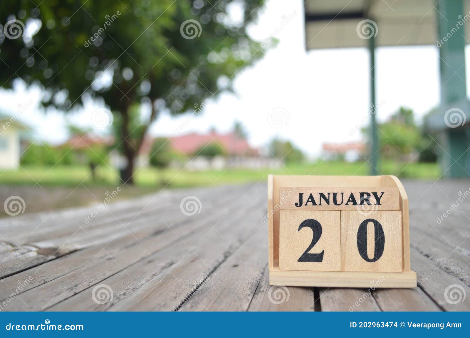 January 20, Cover Natural Background. Stock Photo - Image of 2023, 2022 ...