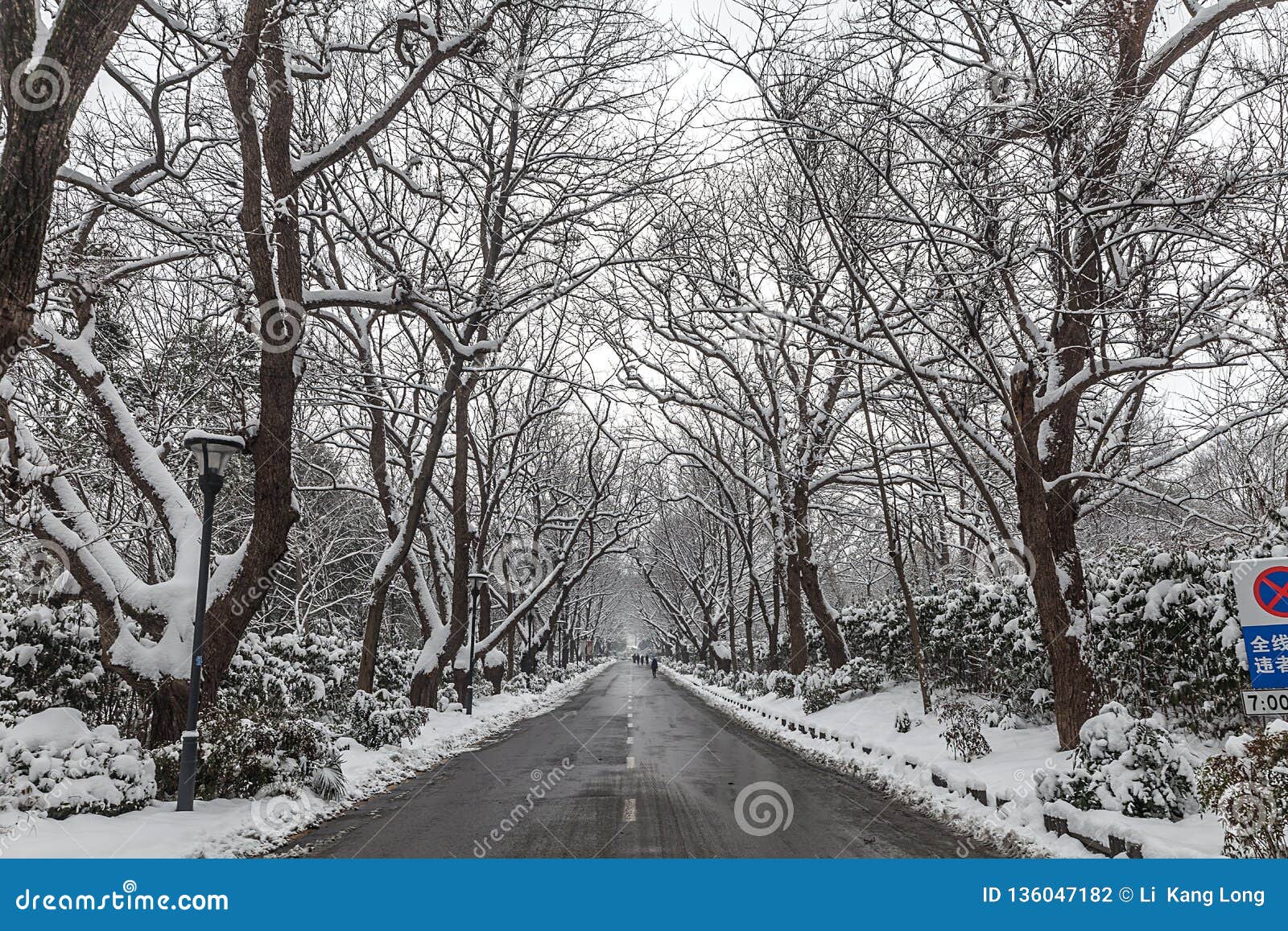 The Scenery of Nanjing after a Heavy Snowfall Editorial Photography ...