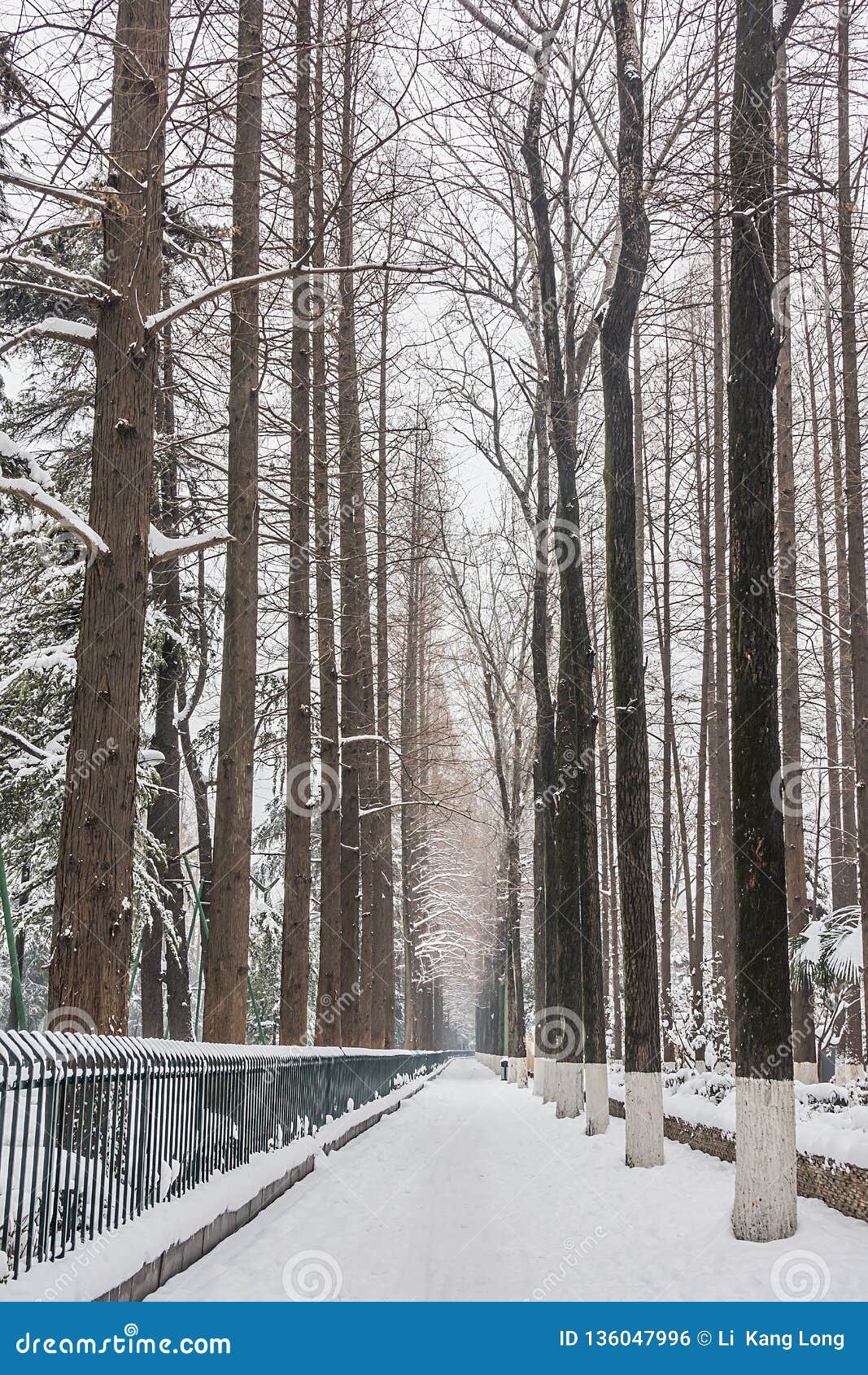 The Scenery of Nanjing after a Heavy Snowfall Stock Photo - Image of ...