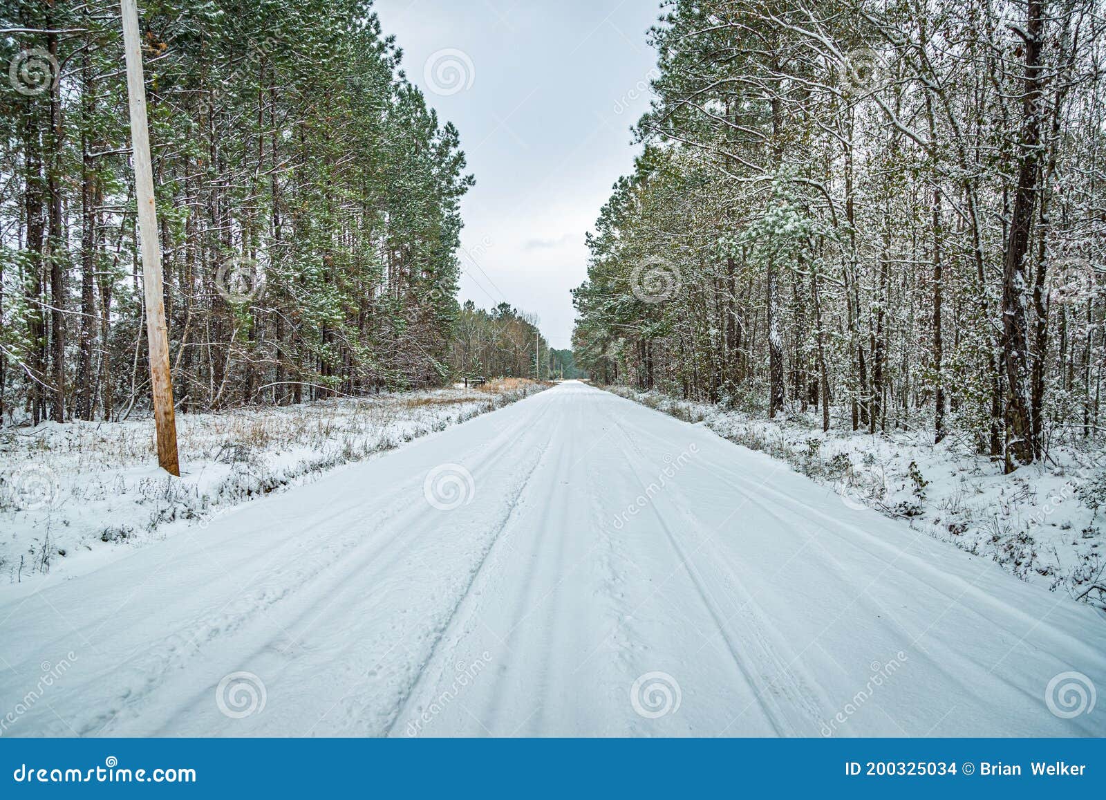 January Snow Day stock photo. Image of cold, tree, snowfall - 200325034