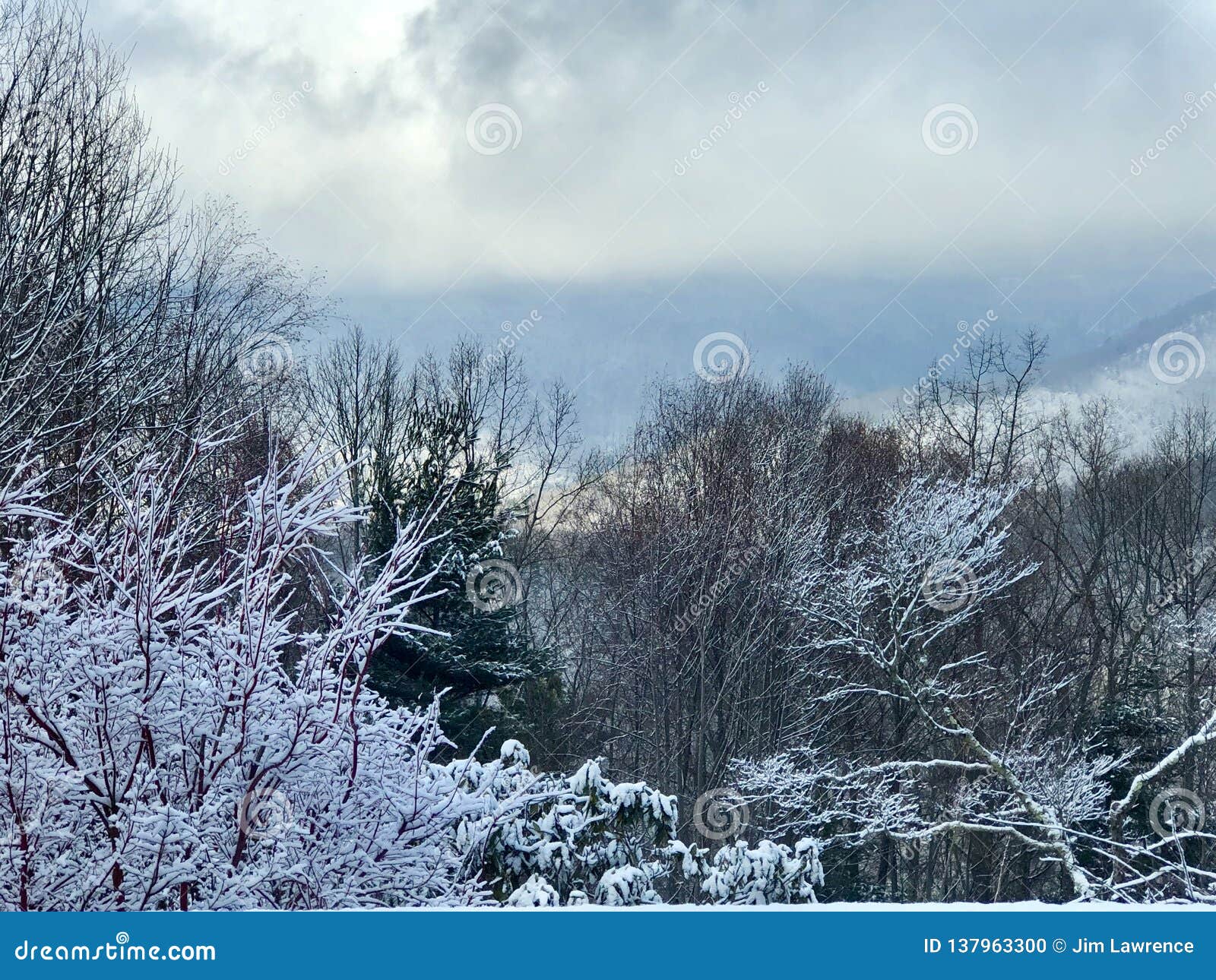 Winter Wonder stock photo. Image of winter, fall, snow - 137963300