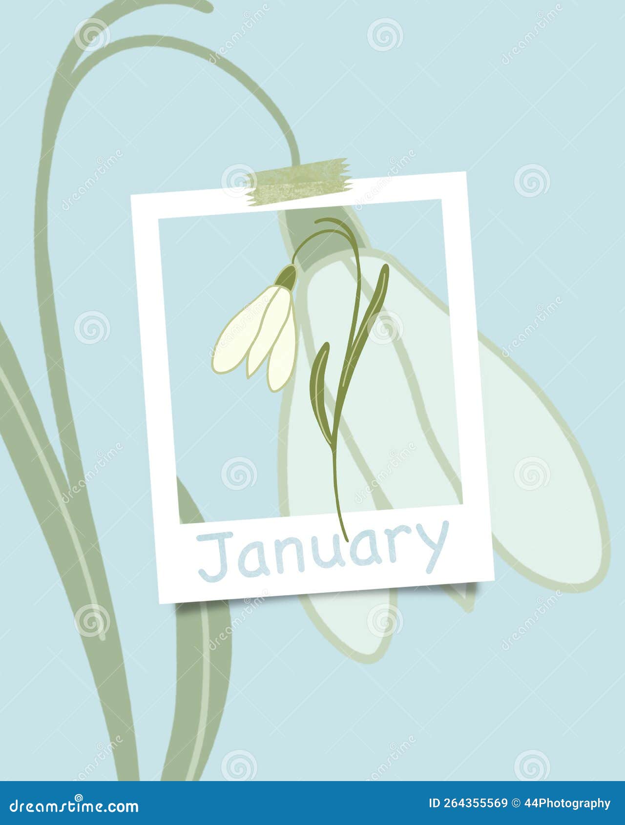 Minimalist Flat Floral Illustration of Snowdrop Flower, Galanthus ...