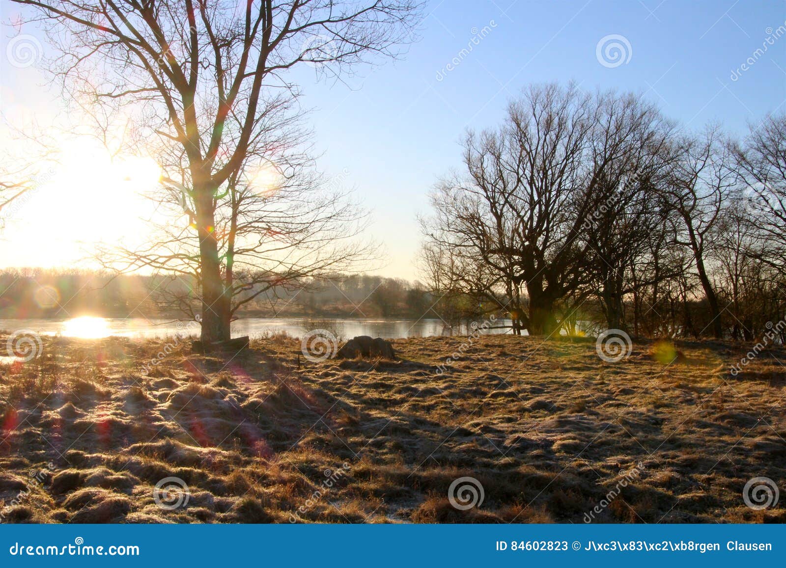 January Sunrise at the Lake Stock Image - Image of shade, lake: 84602823