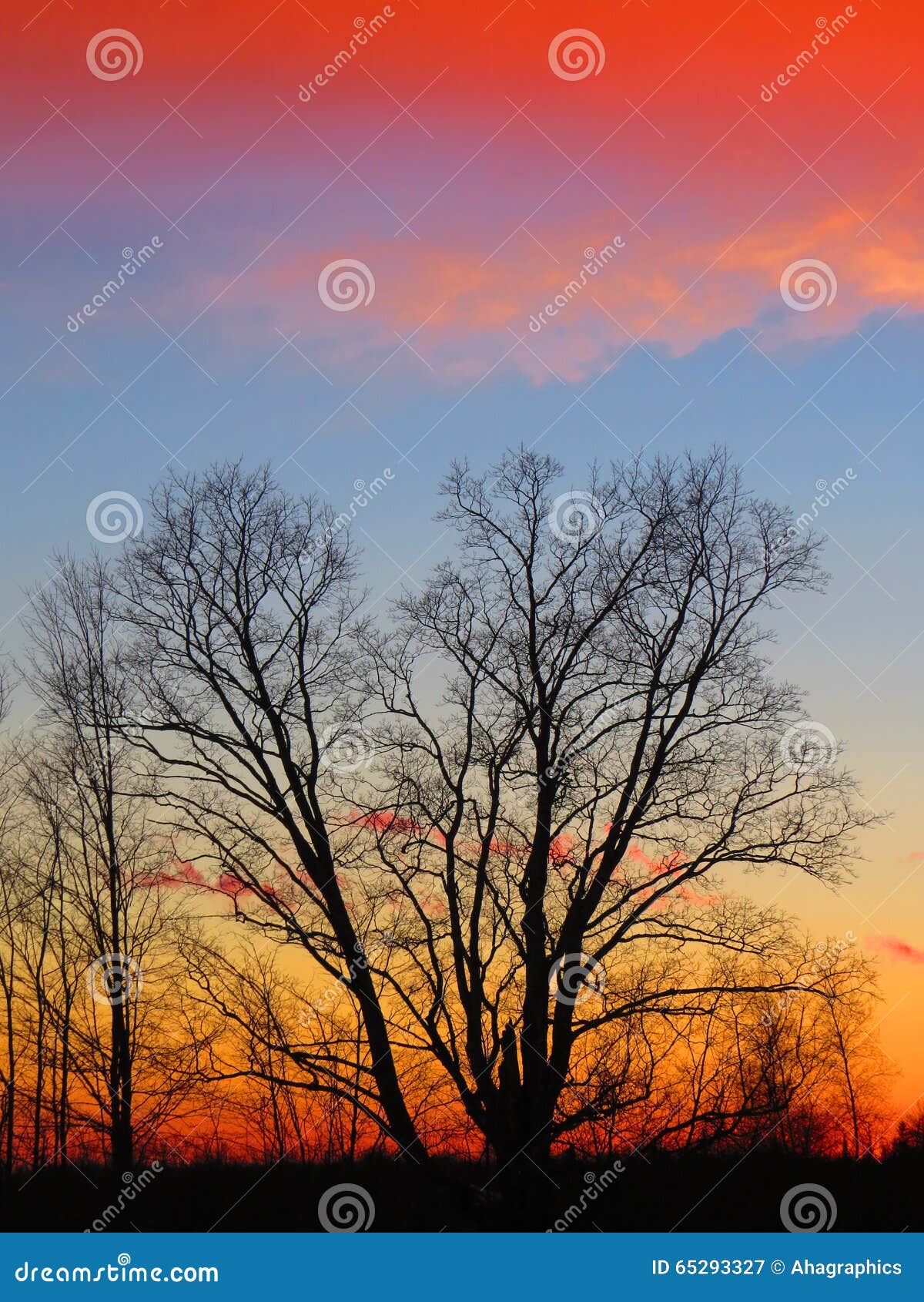 January Sunset stock image. Image of inspire, crisp, bare - 65293327