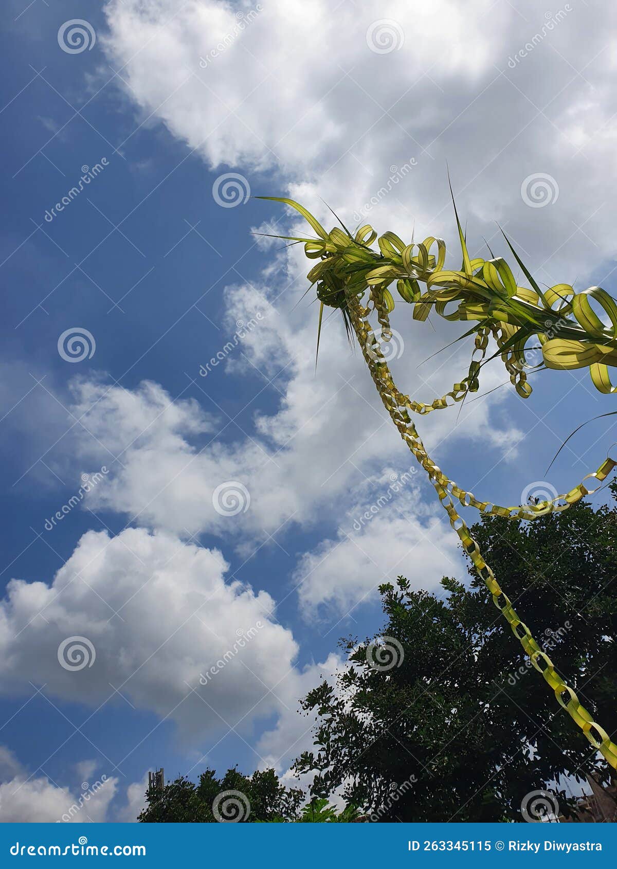 Janur Kuning As Traditional Wedding Symbol of Javanese Stock Image ...