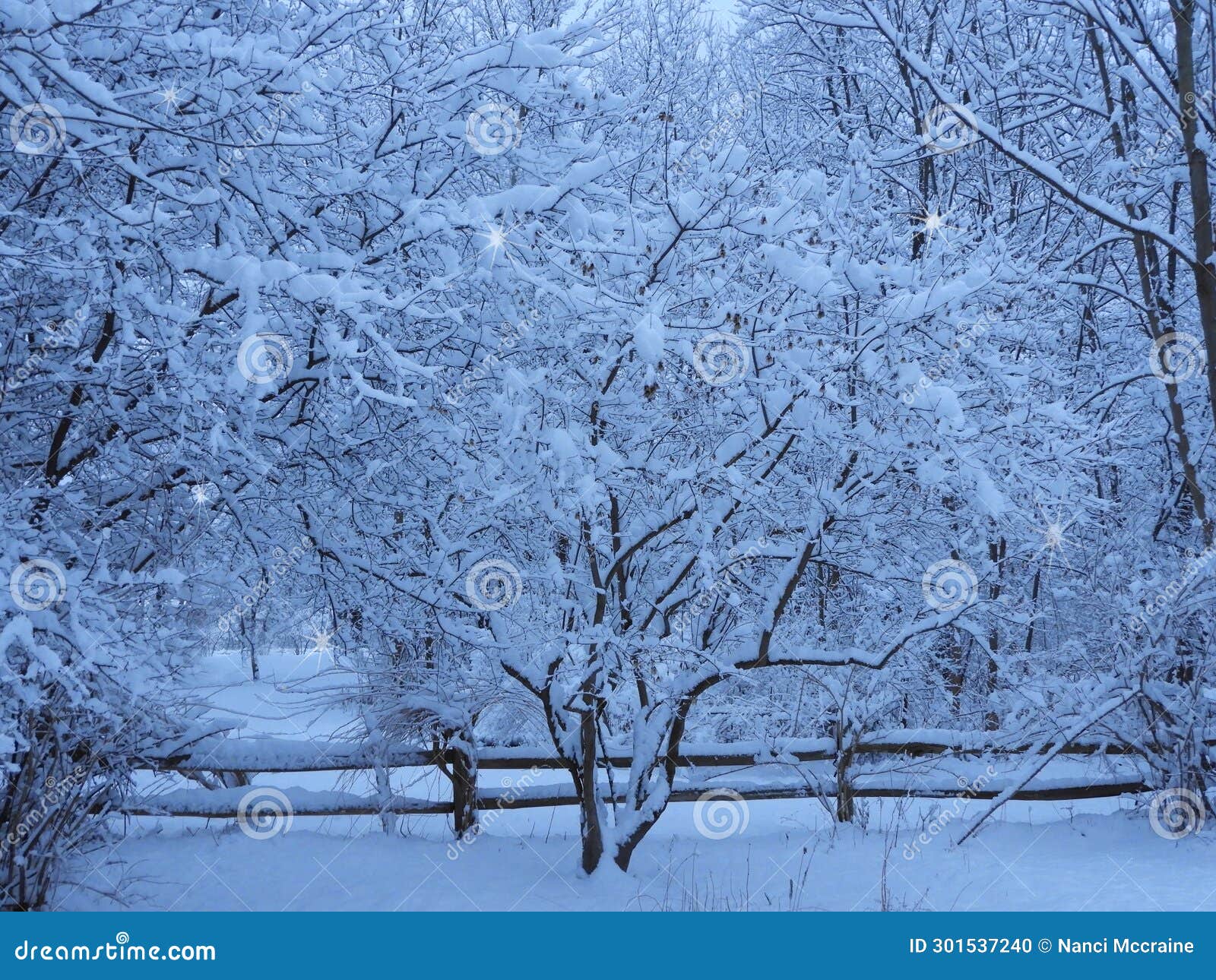 Blue Hour after Winter Snowstorm in Pre-dawn Twilight Stock Photo ...