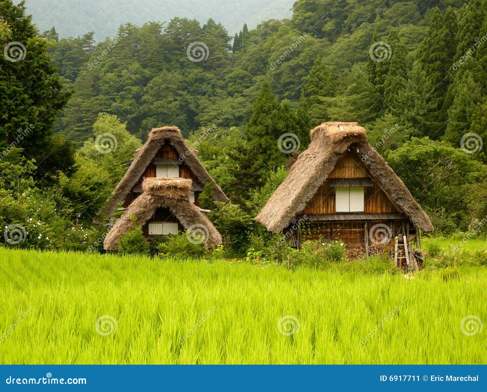 Japan stock image. Image of countryside, charm, tradition - 6917711