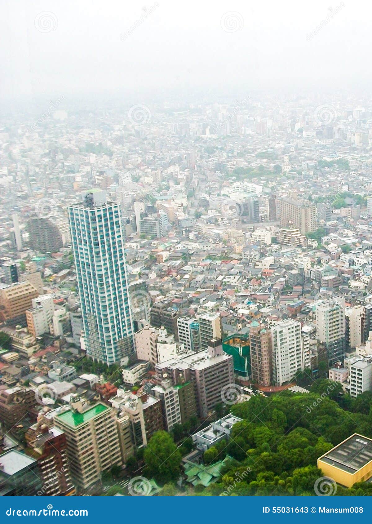 Japan city editorial stock photo. Image of scene, town - 55031643