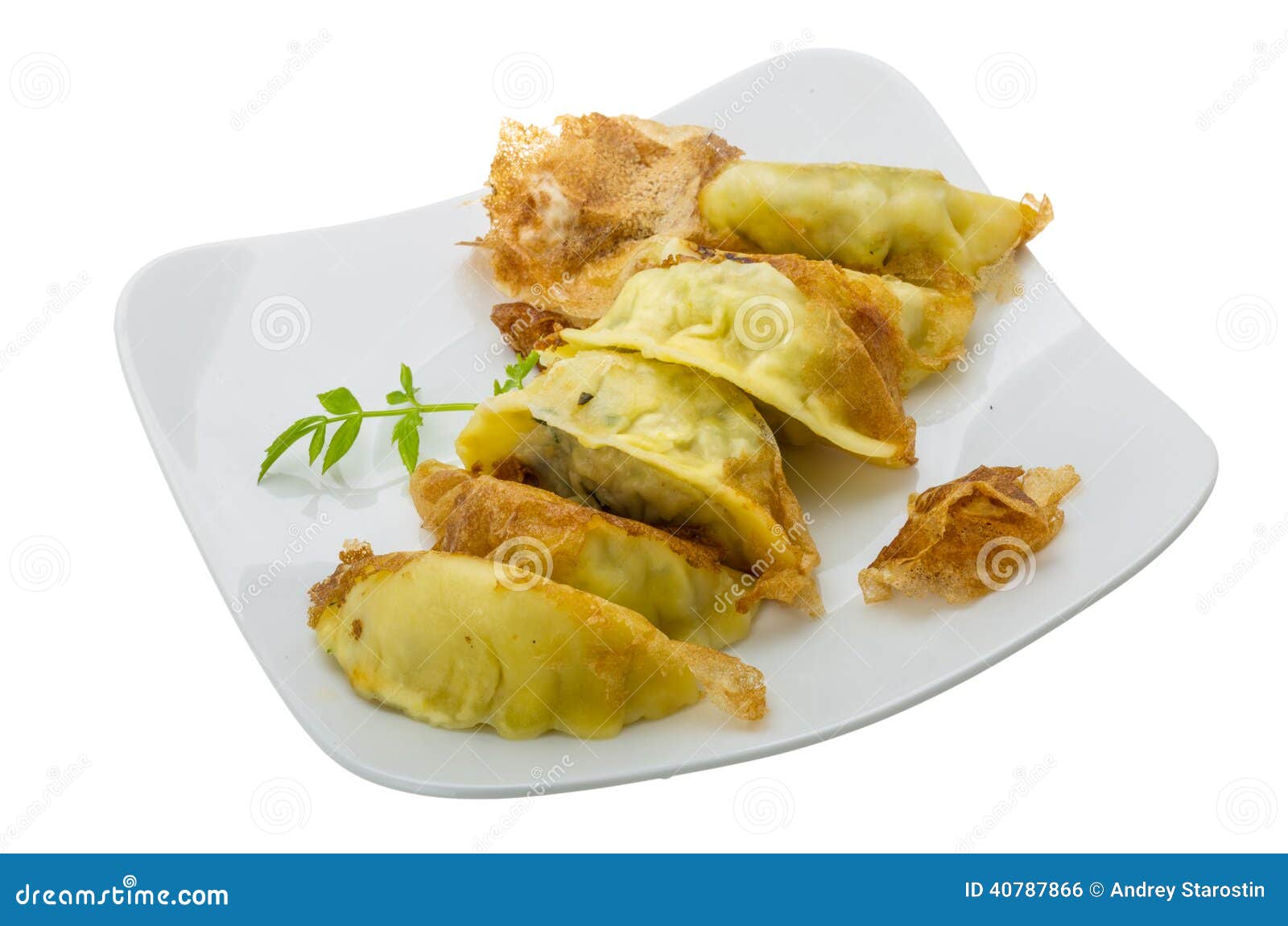 Japan dumplings - gyoza stock photo. Image of pork, china - 40787866