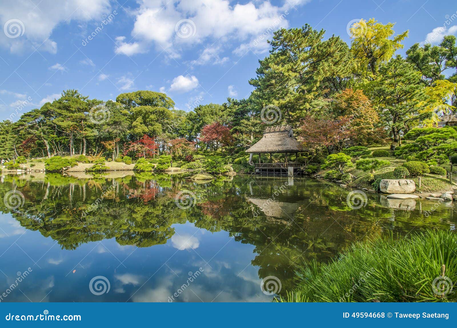 Japan Garden and Reflection Stock Photo - Image of relax, asia: 49594668