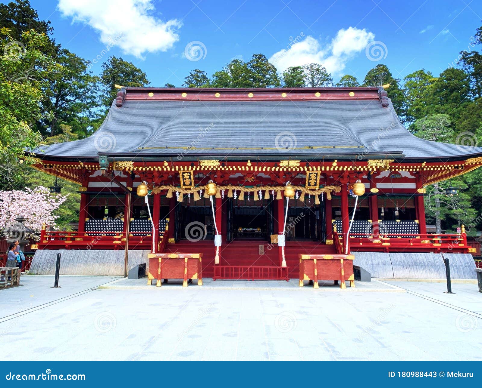 Japan-Haiden of Shiogama Shrine Stock Image - Image of cherry, bloom ...
