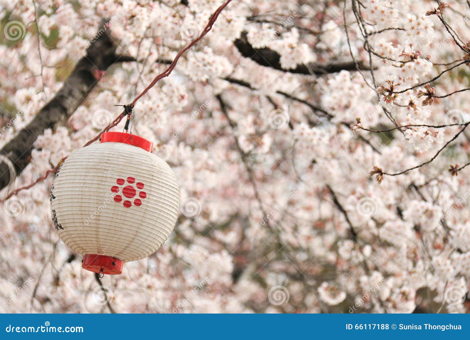 Japan Lamp Stock Photography | CartoonDealer.com #16735286