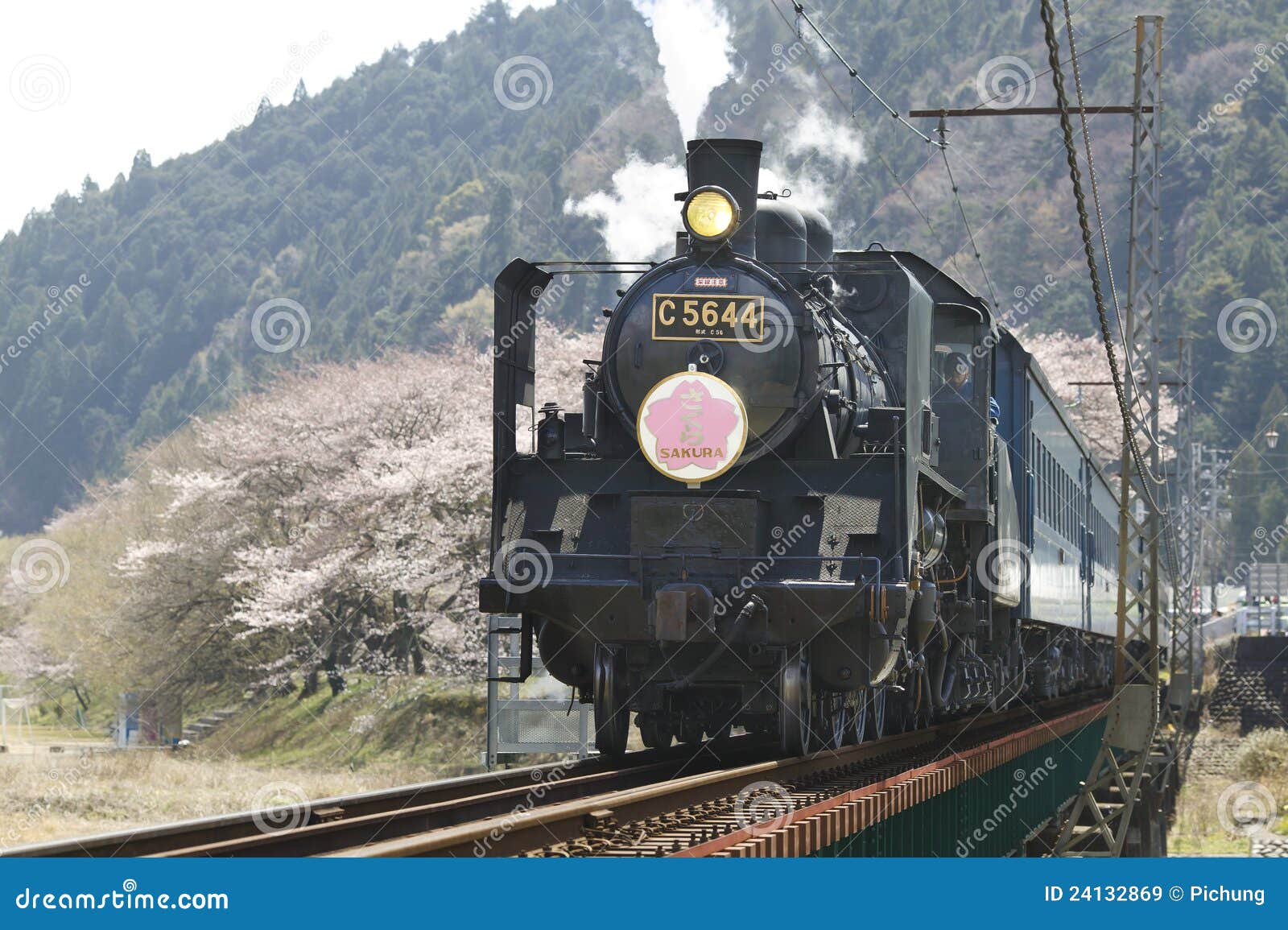 Japan Loco -1 editorial stock image. Image of blossom - 24132869