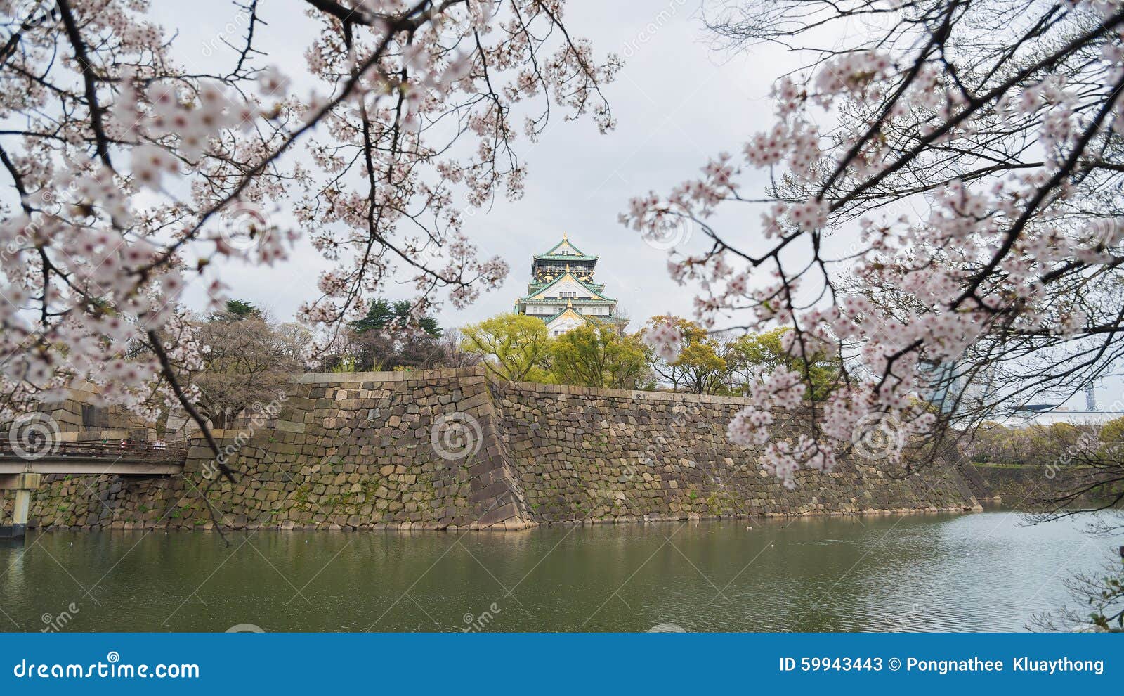 Japan Osaka Castle with Cherry Blossom. Japanese Spring View Stock ...