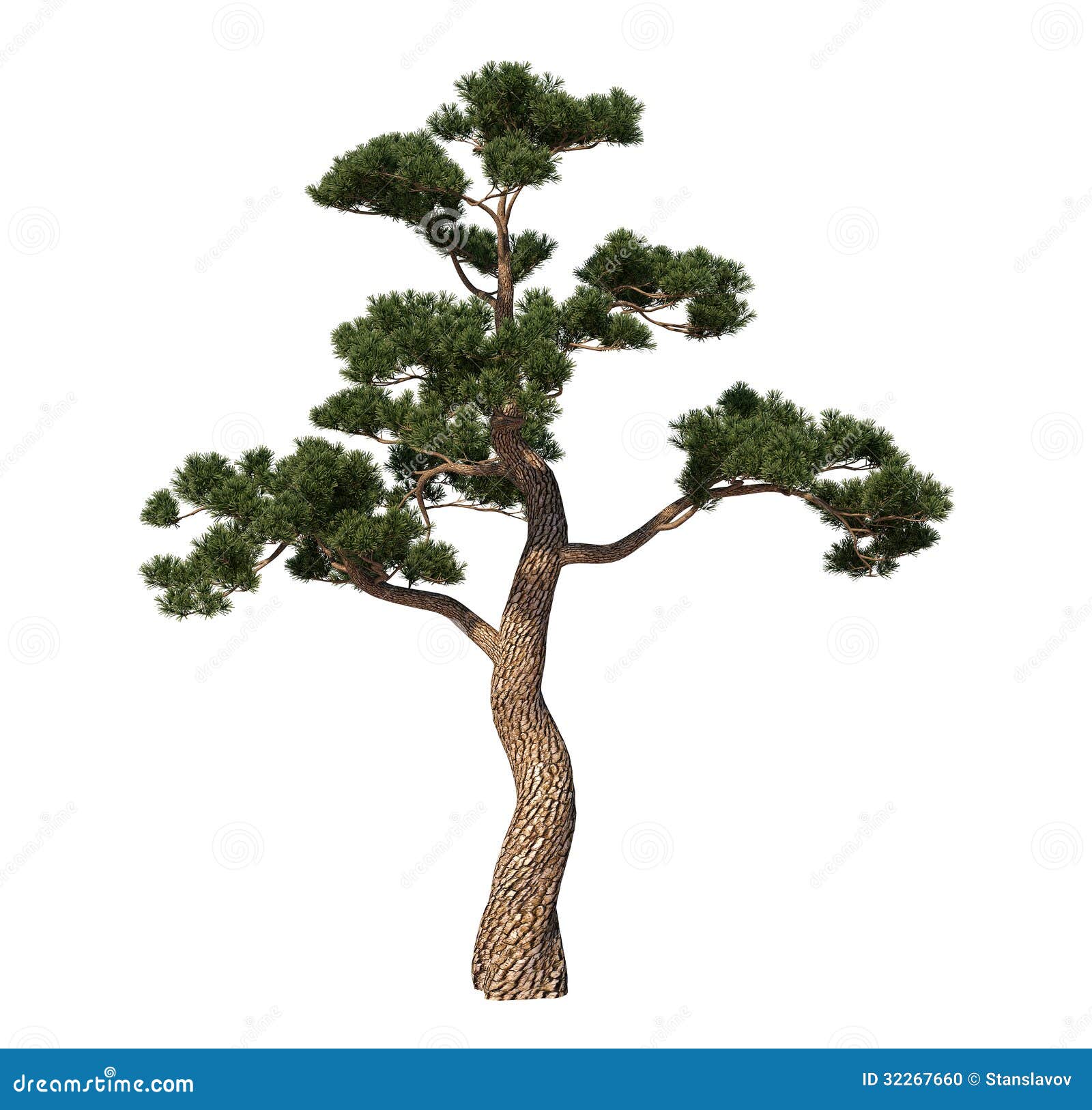 Japan pin tree stock illustration. Illustration of harmony - 32267660