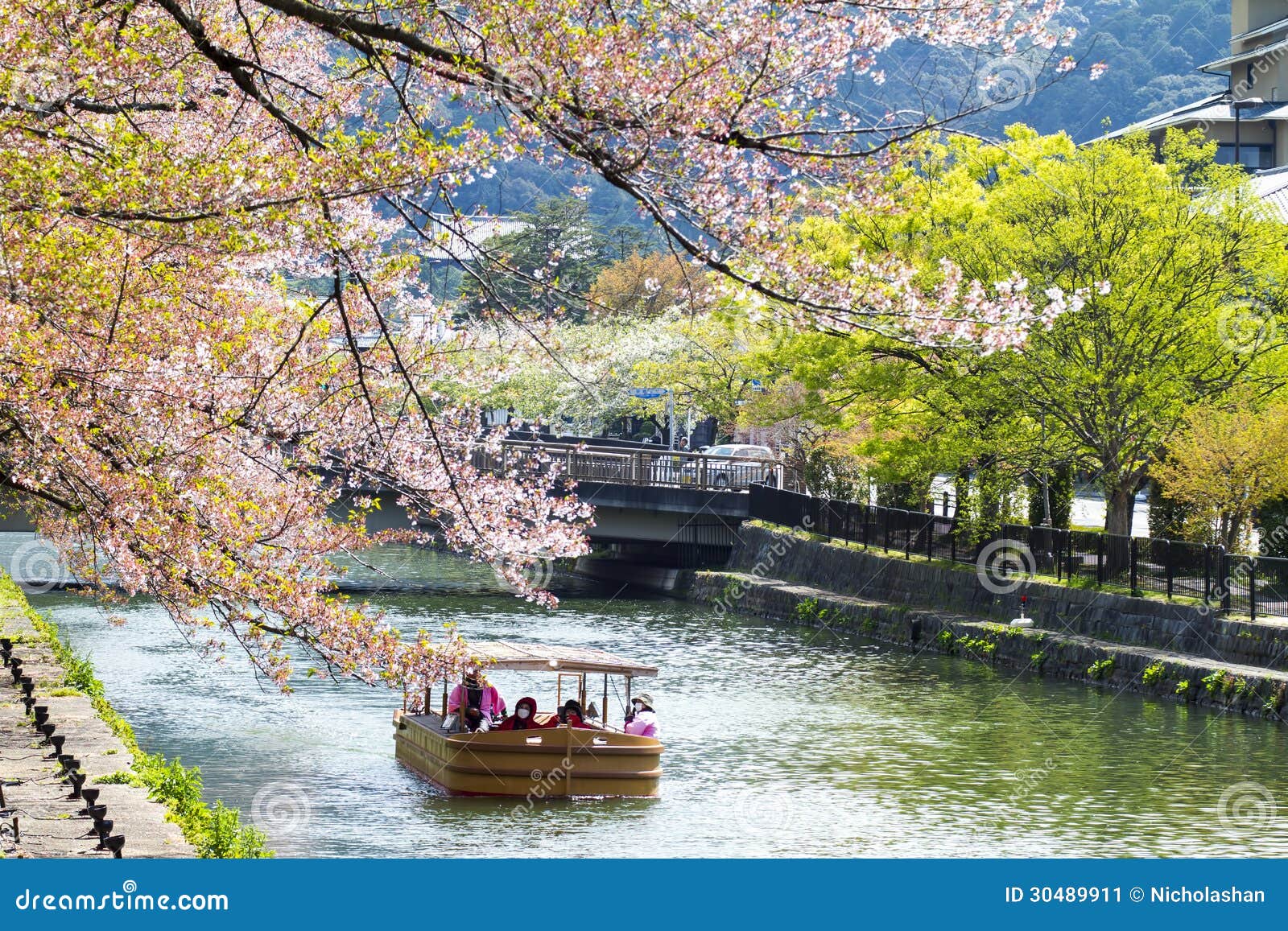 Japan S Heian Shrine Cherry Editorial Photo - Image of sakura, shrine ...