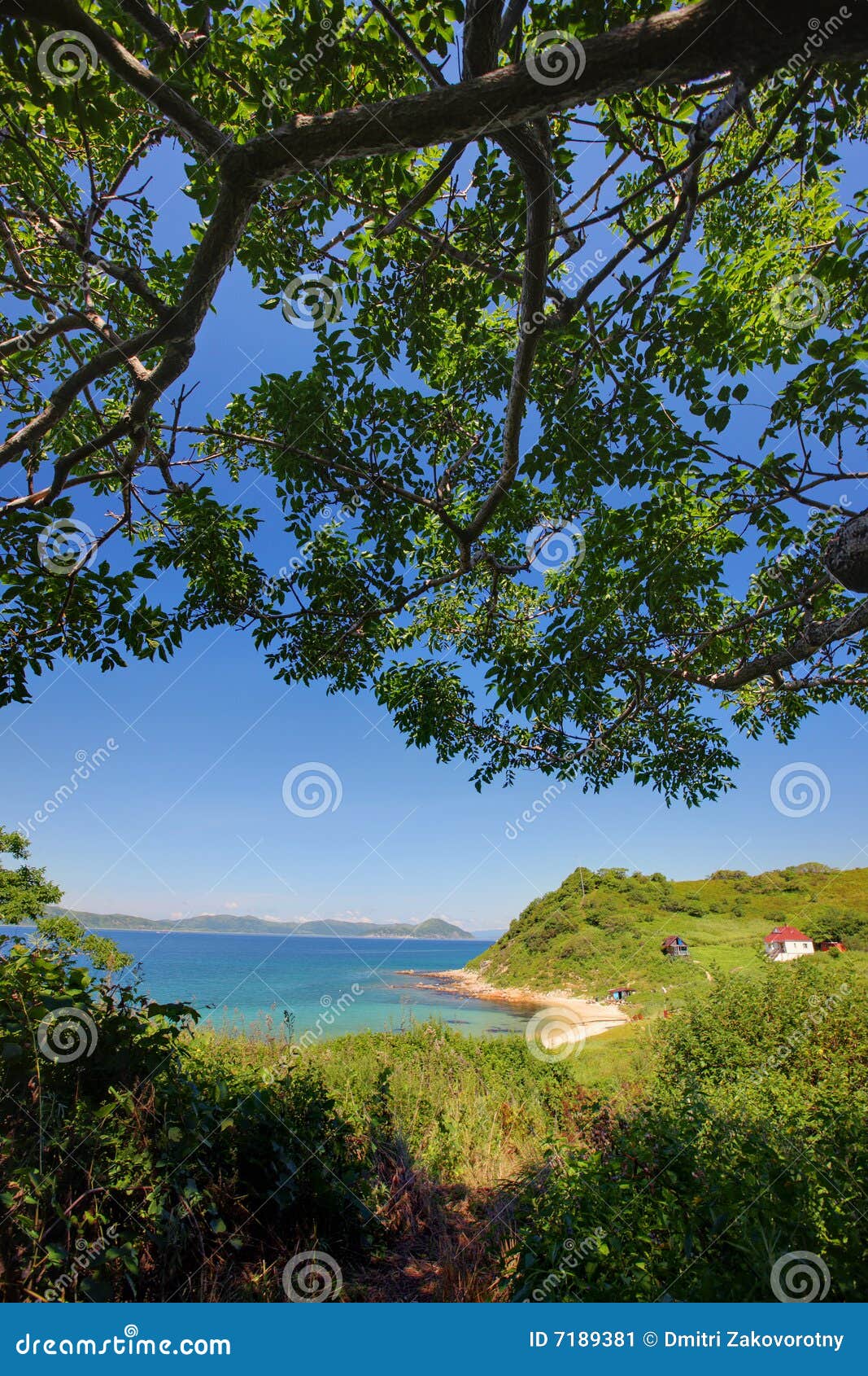 Japan Sea. Autumn. 7 stock image. Image of wood, sunset - 7189381