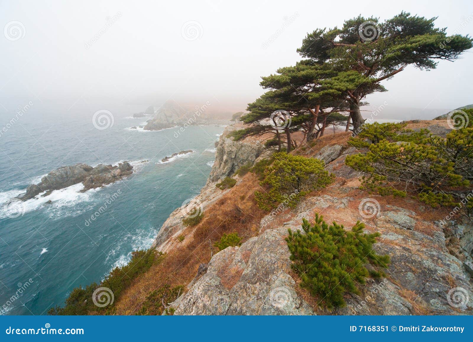 Japan sea in autumn stock image. Image of wave, winter - 7168351