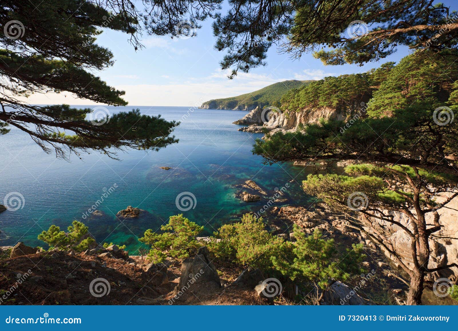 Japan sea. Autumn trees stock image. Image of rocks, moving - 7320413