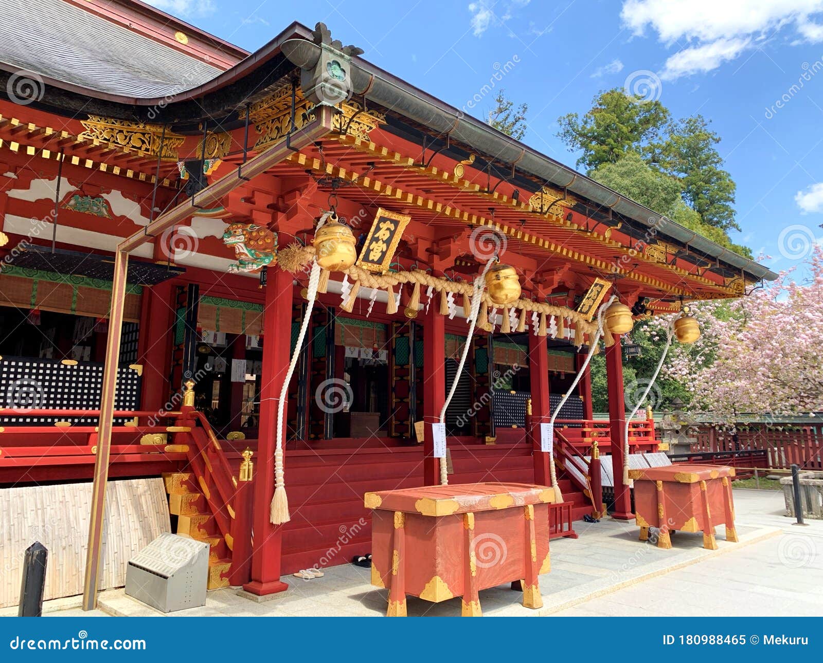 Japan-Shiogama Shrine and Cherry Blossom,spring. Stock Image - Image of ...