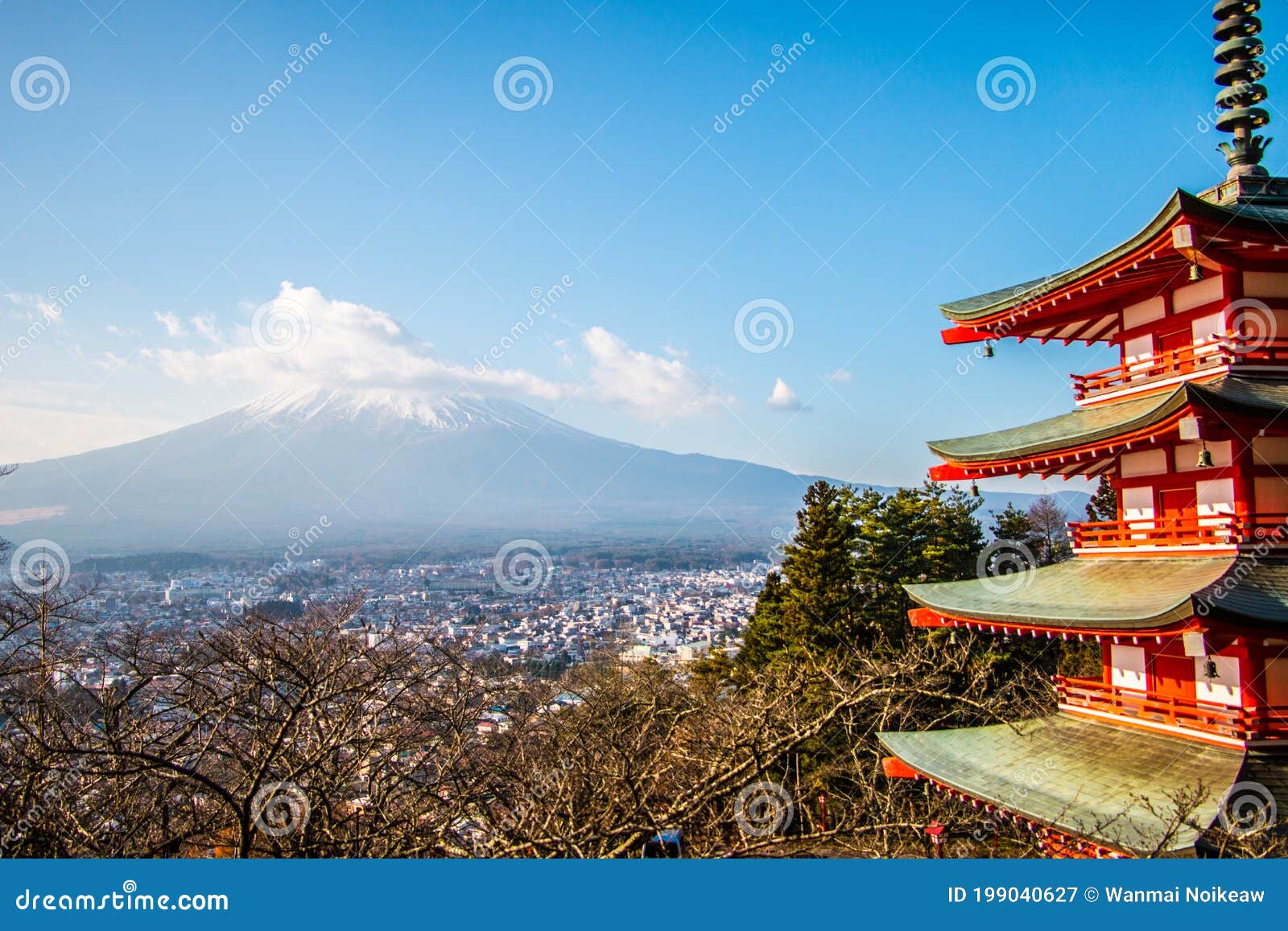 Japan stock image. Image of drowning, forest, japanese - 199040627