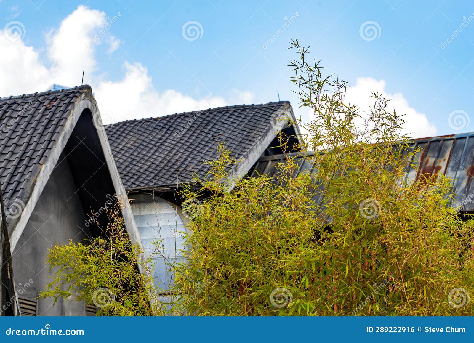 Japanese Architectural Style Brick Roof Stock Photo - Image of winter ...