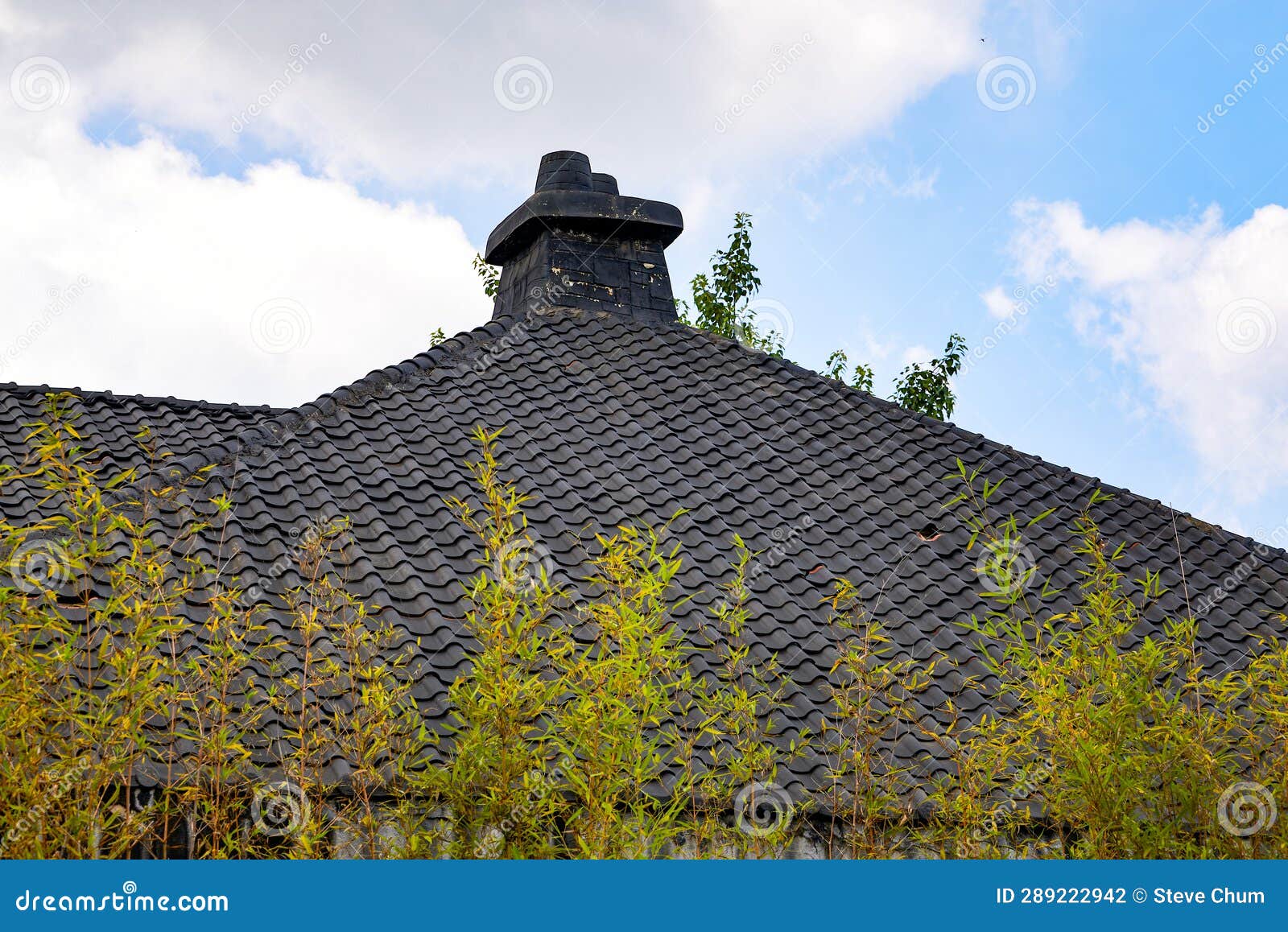 Japanese Architectural Style Brick Roof Stock Photography ...