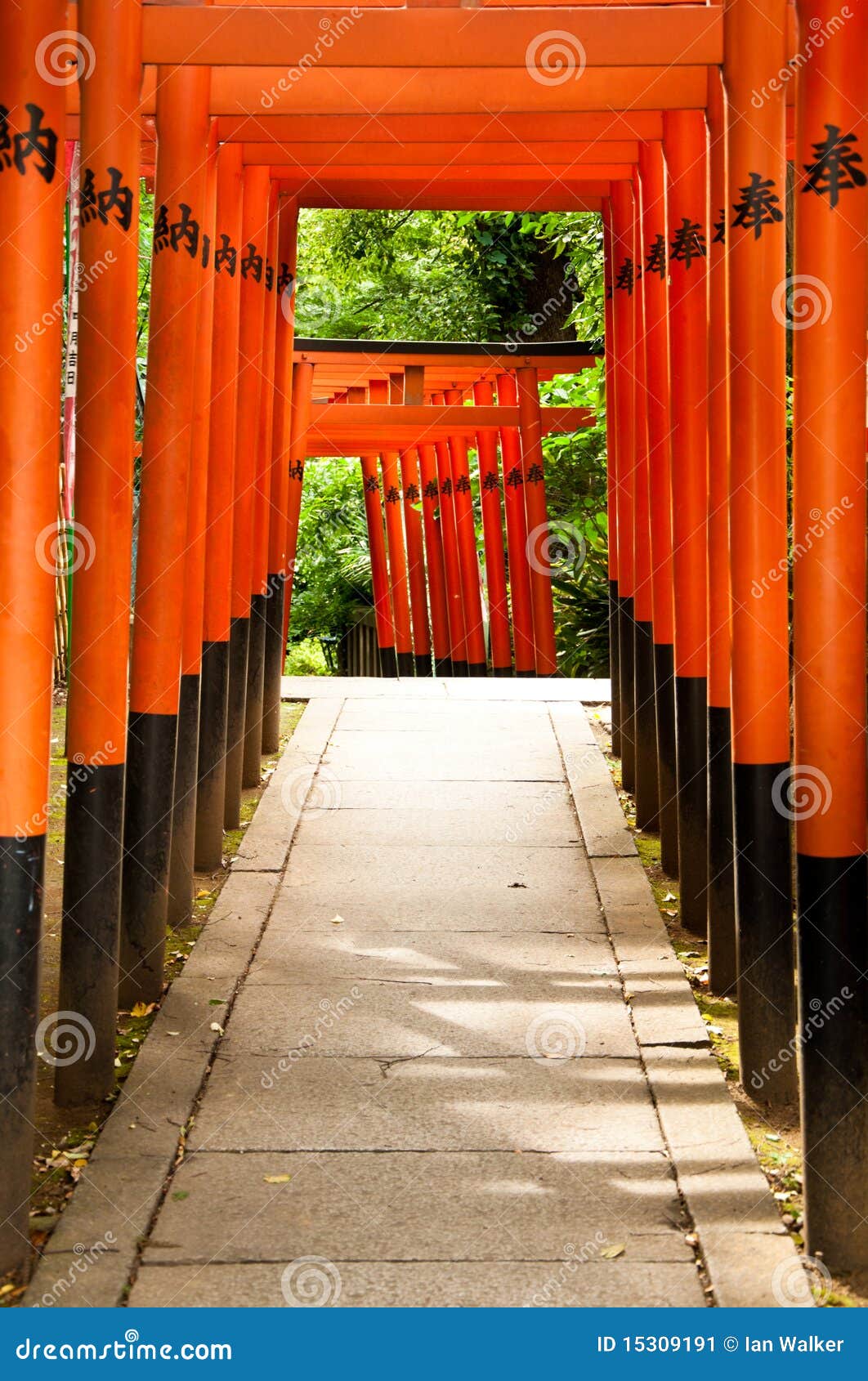 Japanese Archways stock image. Image of tokyo, marking - 15309191