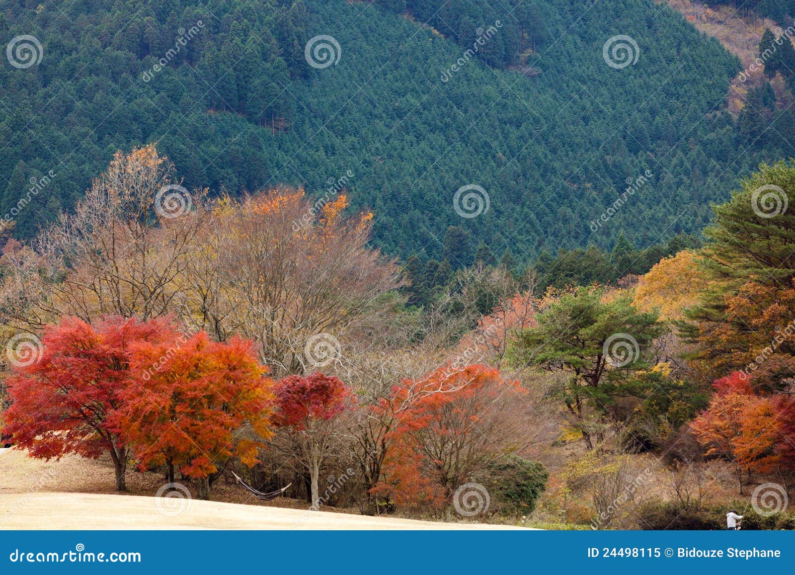 Japanese autumn landscape stock image. Image of autumn - 24498115