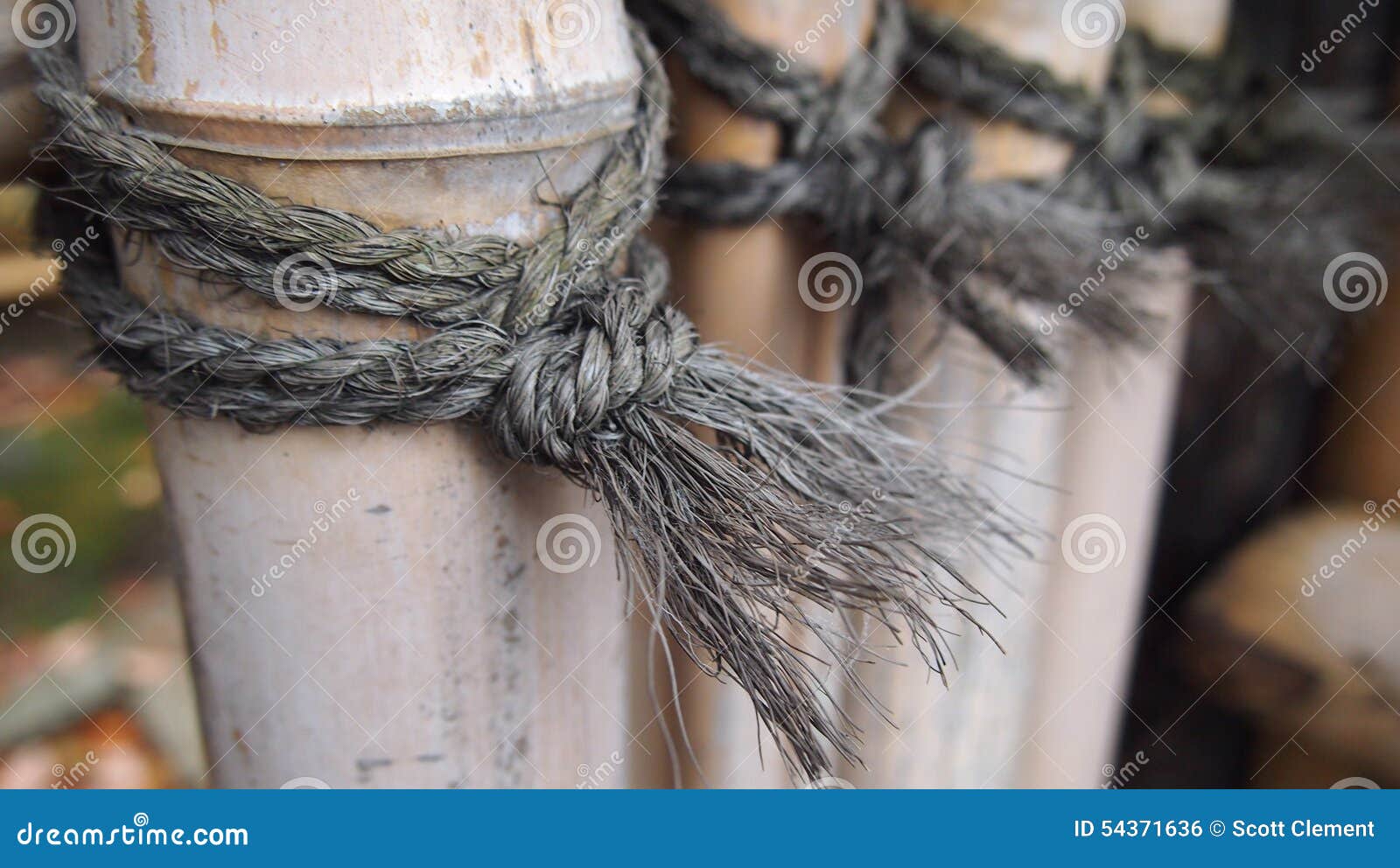 Japanese bamboo screen stock photo. Image of japan, trees - 54371636