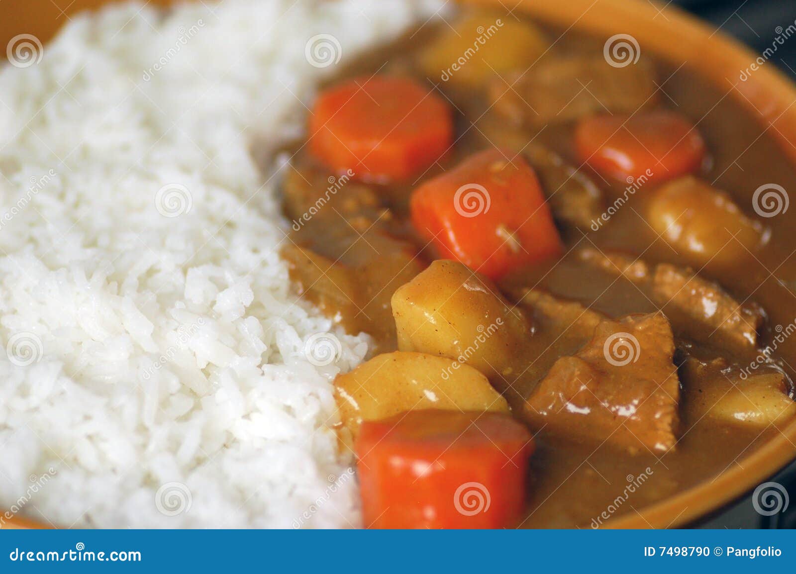 Japanese beef curry stock photo. Image of potato, dinner - 7498790