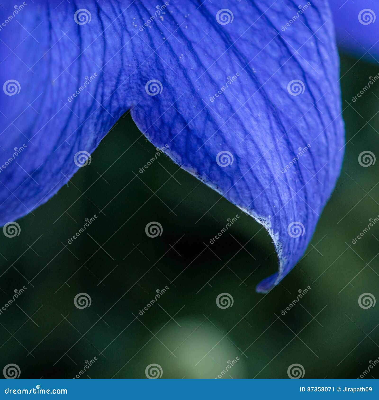 Japanese Bell Royalty-Free Stock Image | CartoonDealer.com #25958404