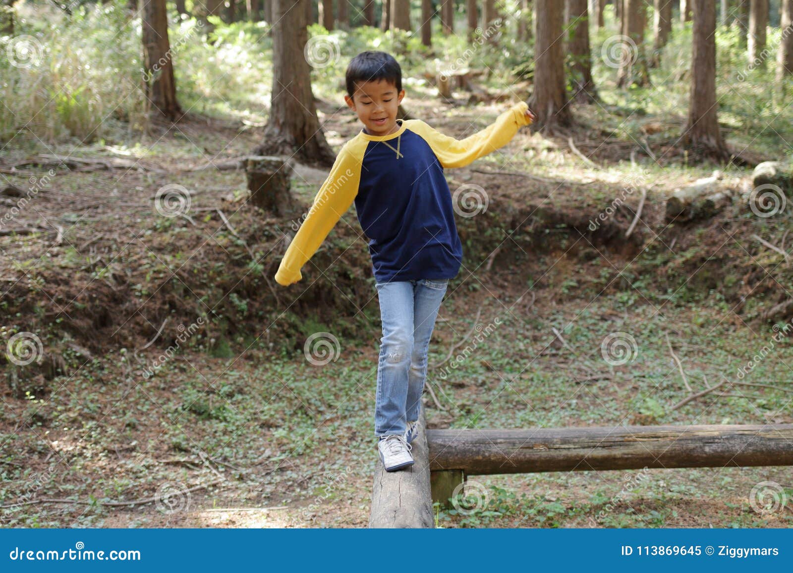Japanese Boy on the Balance Beam Stock Image - Image of human, green ...