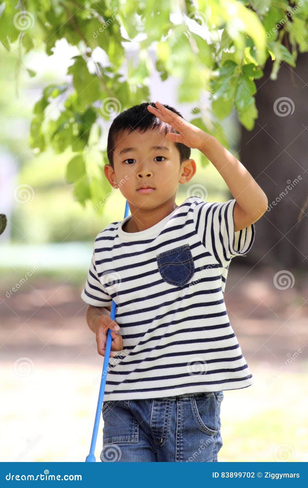 Japanese Boy Collecting Insect Stock Photo - Image of student, scenery ...