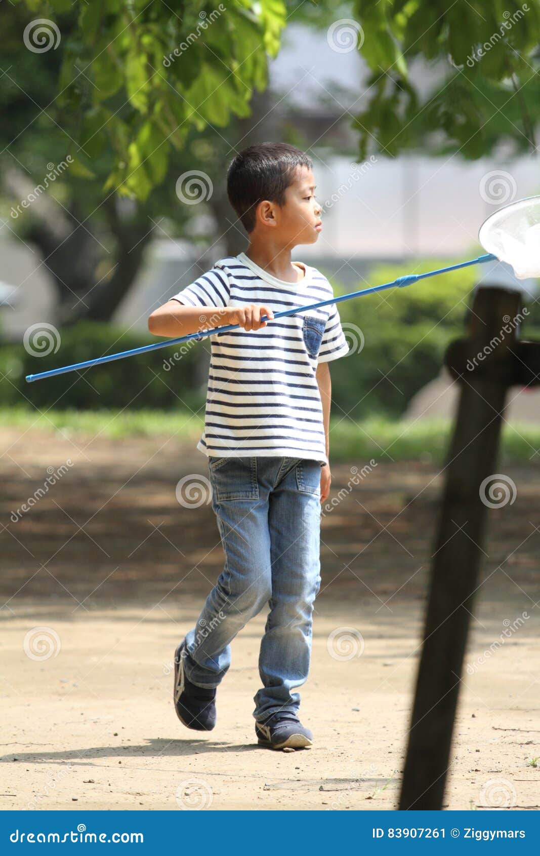 Japanese Boy Collecting Insect Stock Image - Image of japanese, face ...