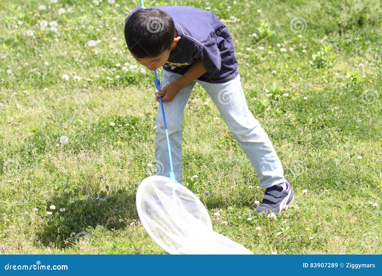 Japanese Boy Collecting Insect Stock Image - Image of smiling, cute ...