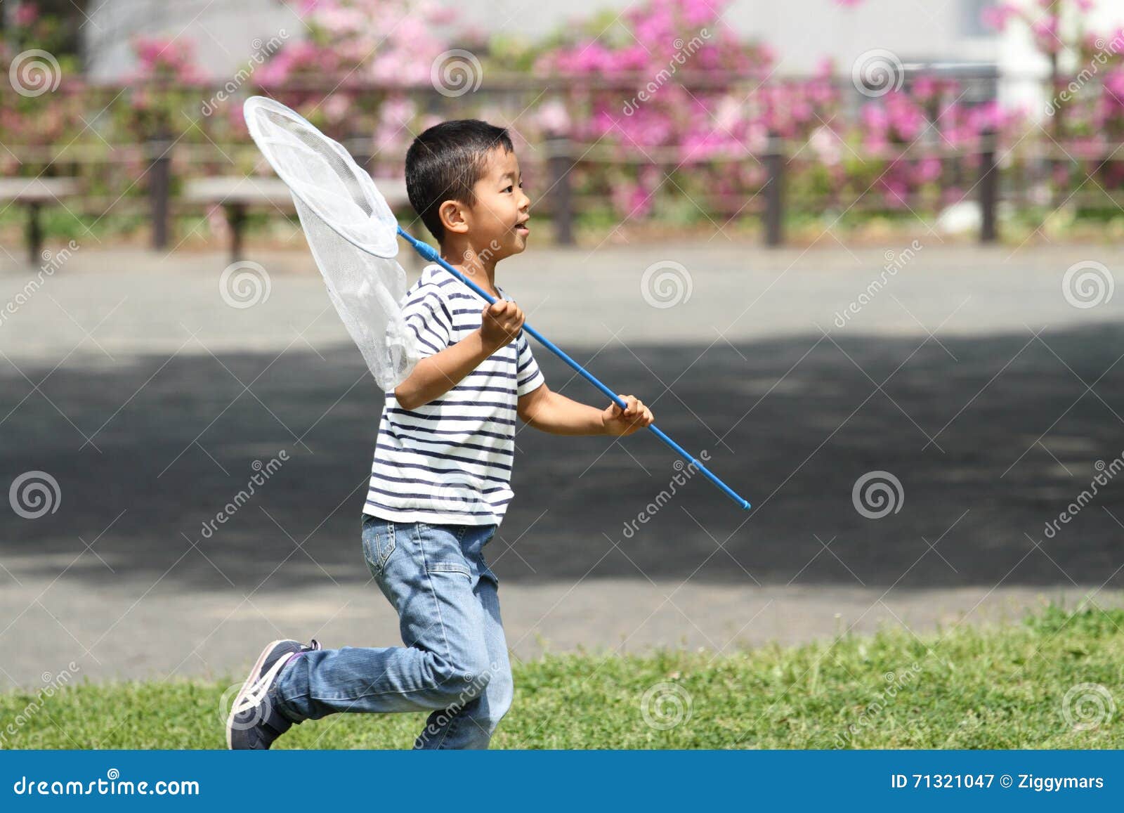 Japanese Boy Collecting Insect Stock Image - Image of catching ...