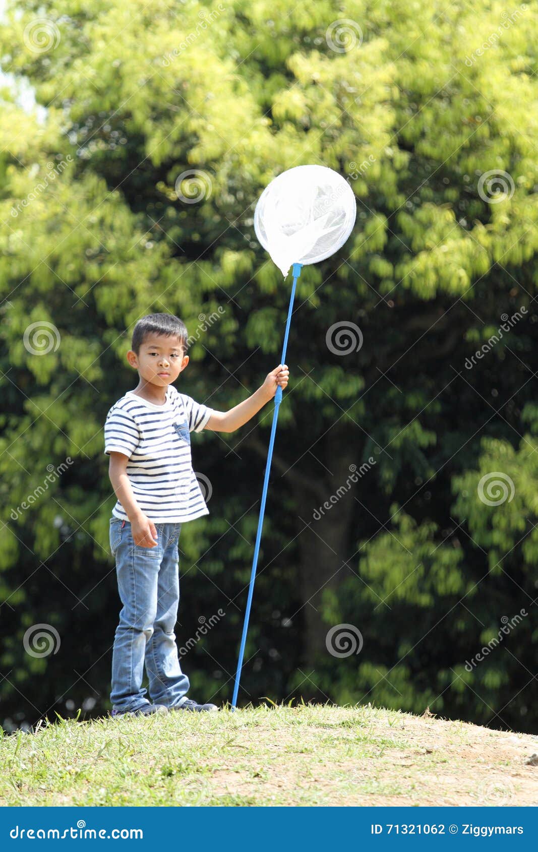 Japanese Boy Collecting Insect Stock Photo - Image of outside, face ...