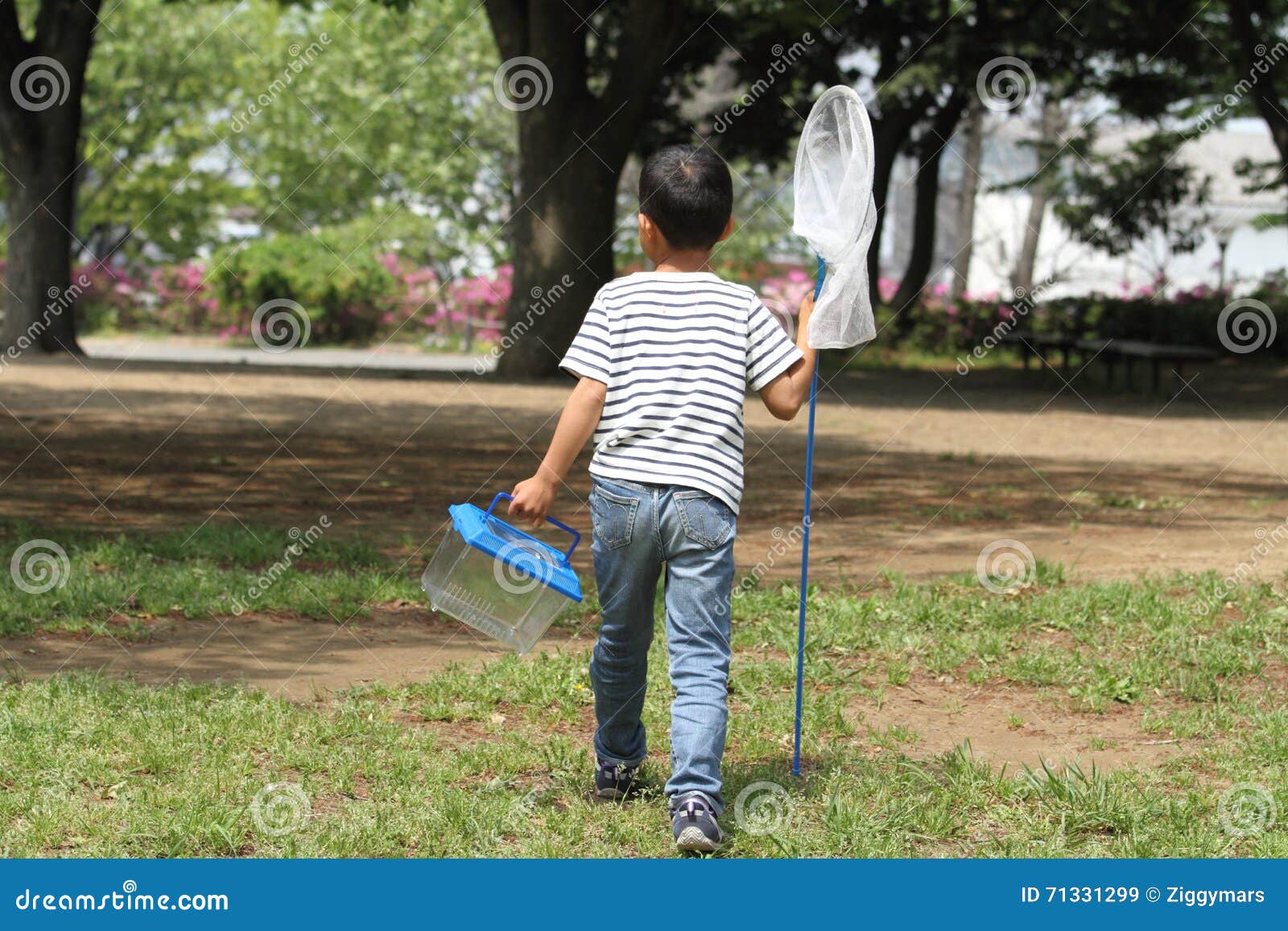 Japanese Boy Collecting Insect Stock Image - Image of scenery, clear ...
