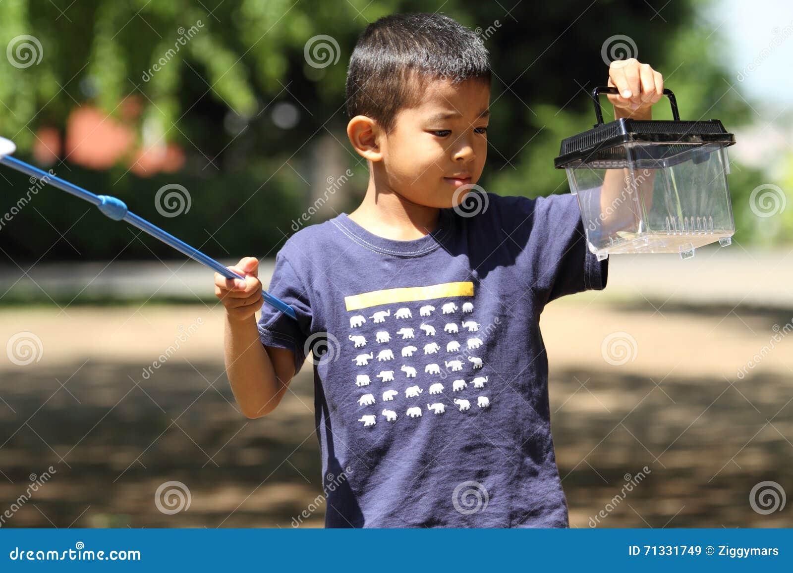 Japanese Boy Collecting Insect Stock Image - Image of cage, grader ...