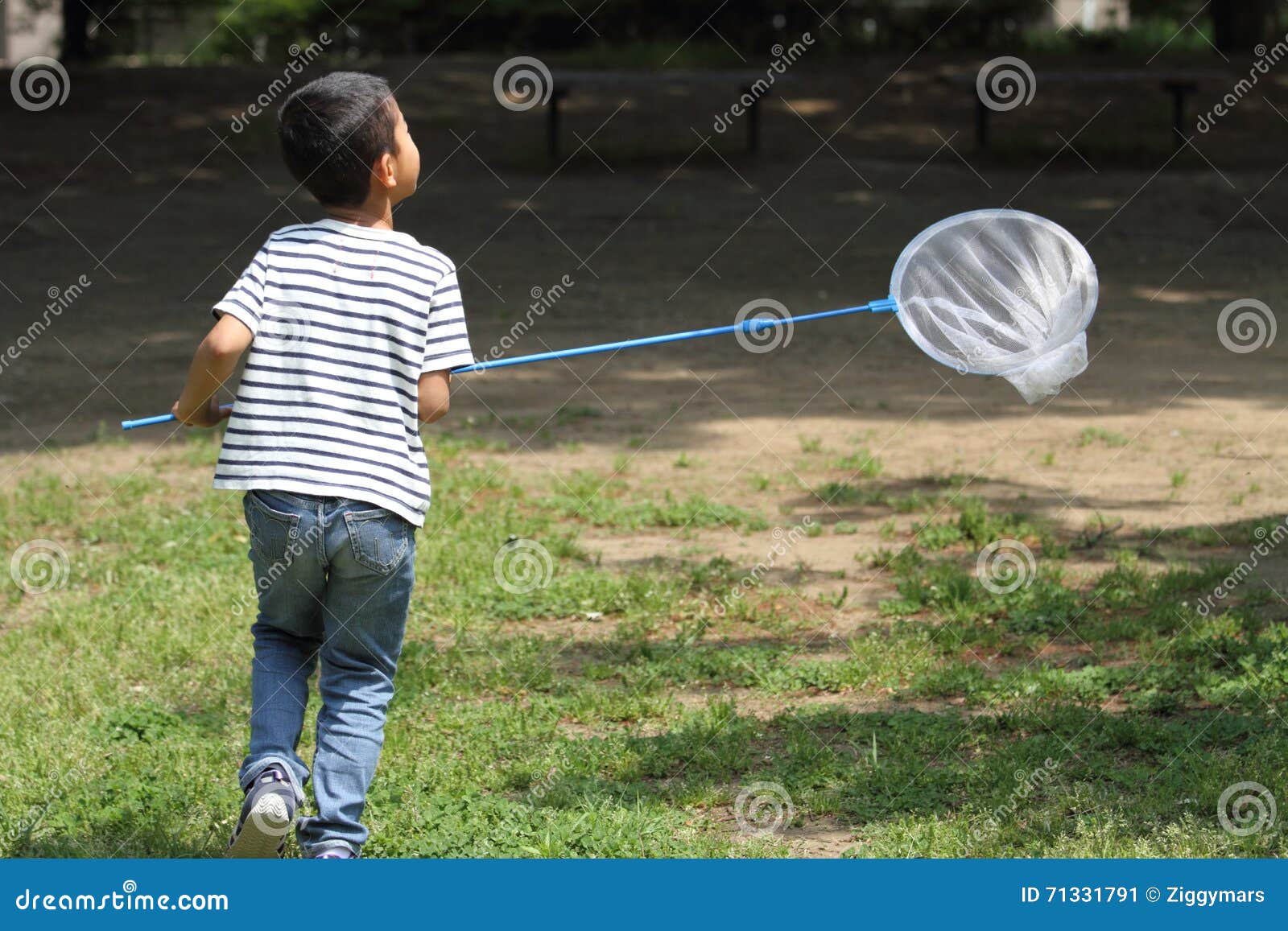 Japanese Boy Collecting Insect Stock Image - Image of human, cage: 71331791