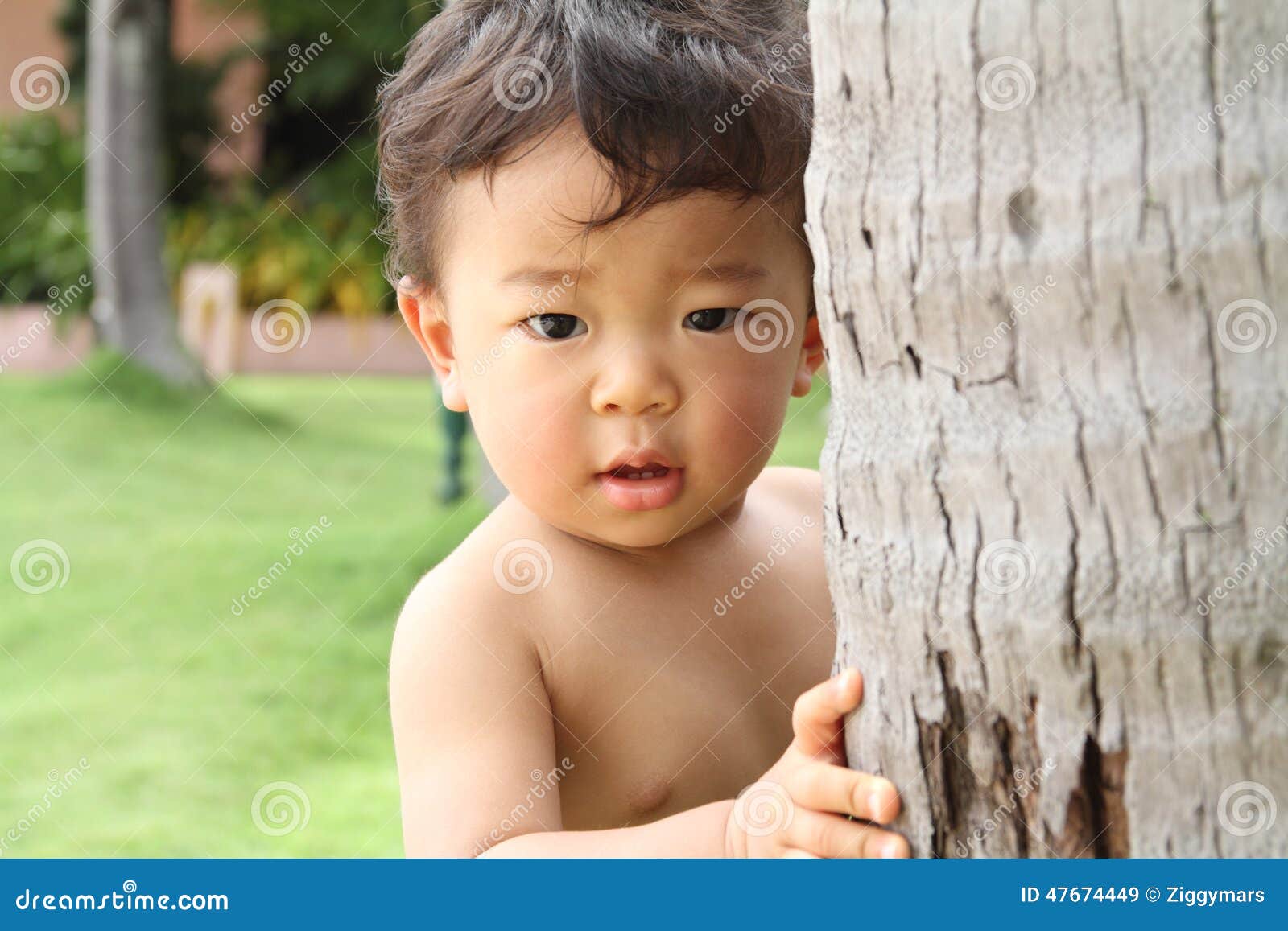 Japanese Boy Hiding Behind the Tree Stock Image - Image of hiding ...