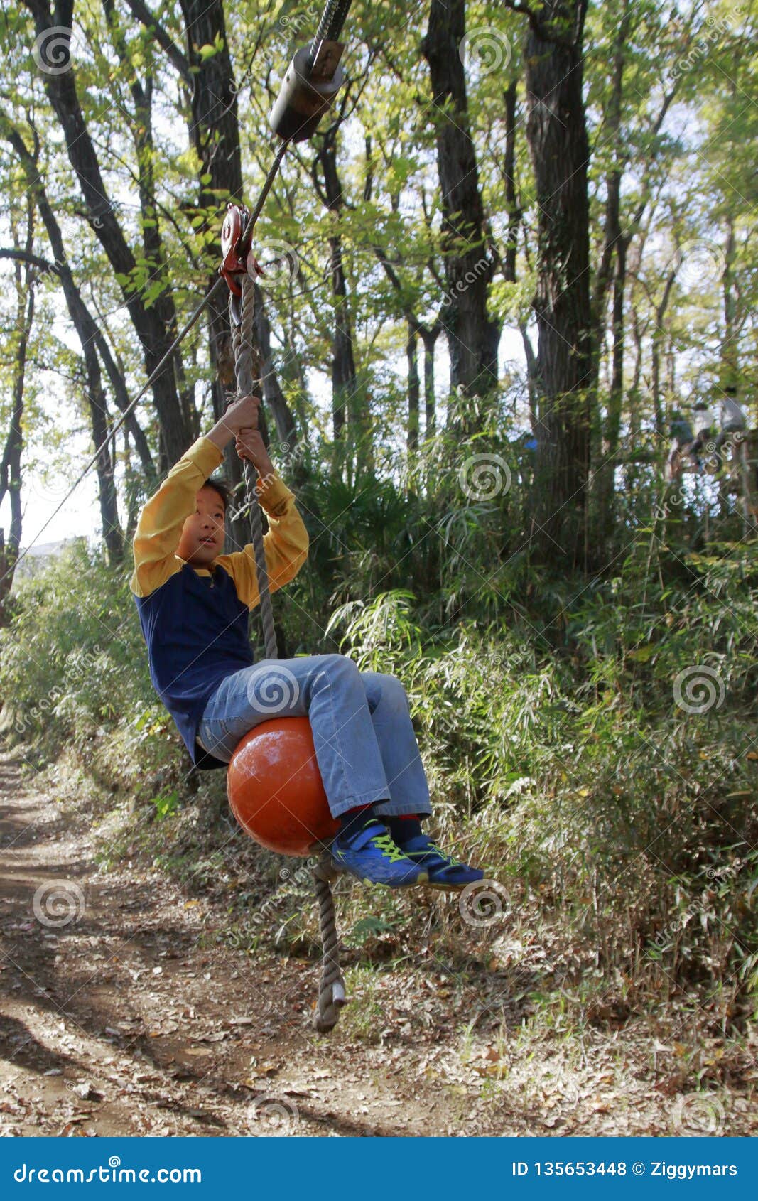 Japanese Boy Playing with Flying Fox Stock Photo - Image of athletic ...