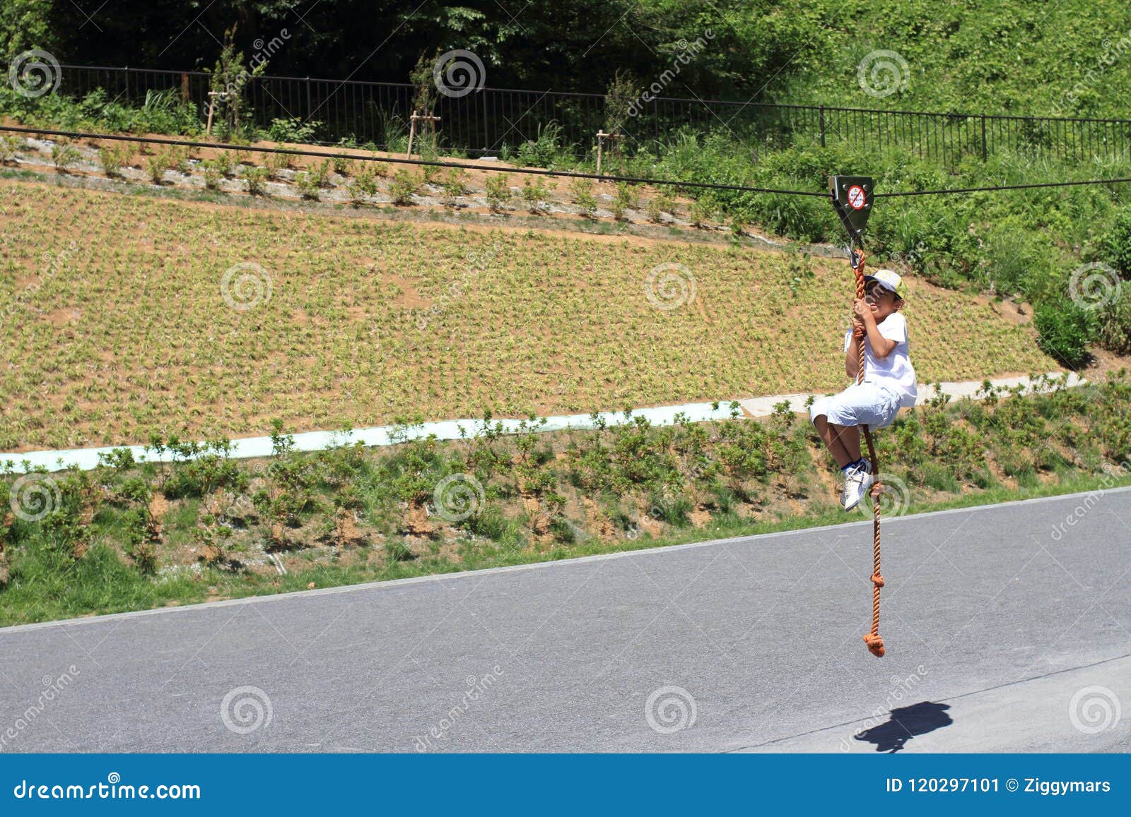 Japanese Boy Playing with Flying Fox Stock Image - Image of sunny ...