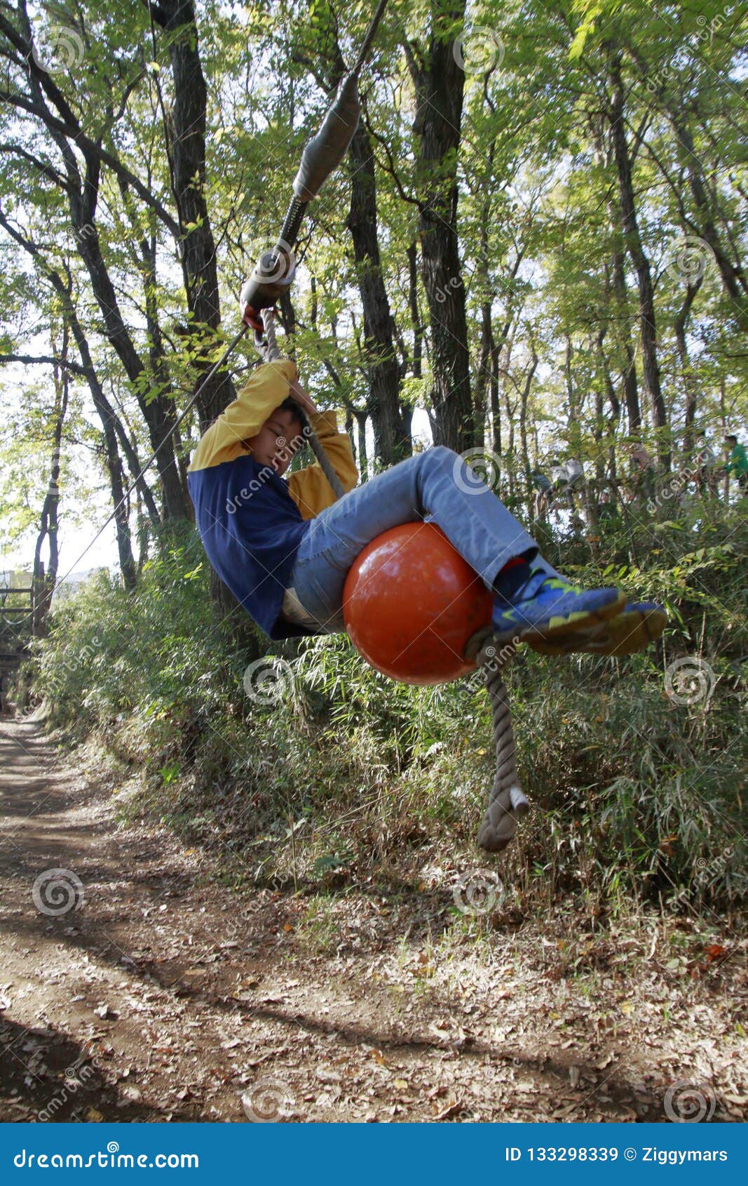Japanese Boy Playing with Flying Fox Stock Image - Image of nine ...