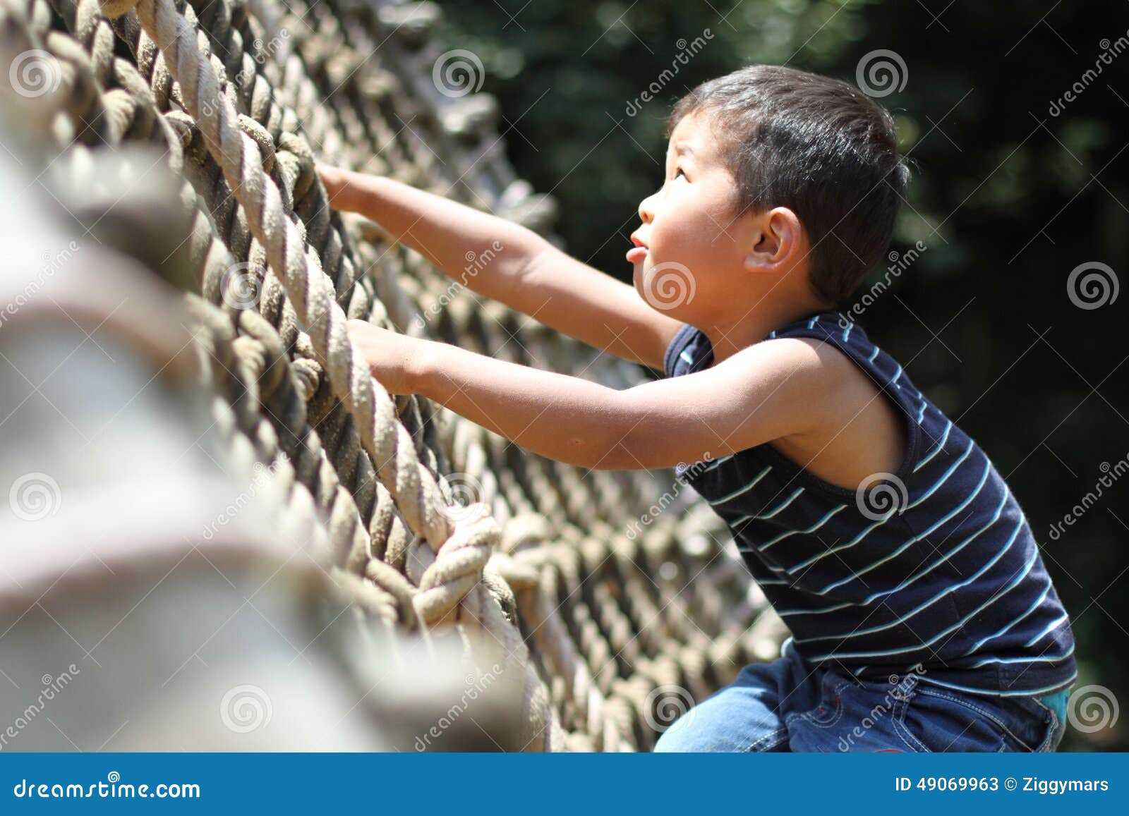 Japanese Boy Playing with Rope Ladder Stock Image - Image of walking ...