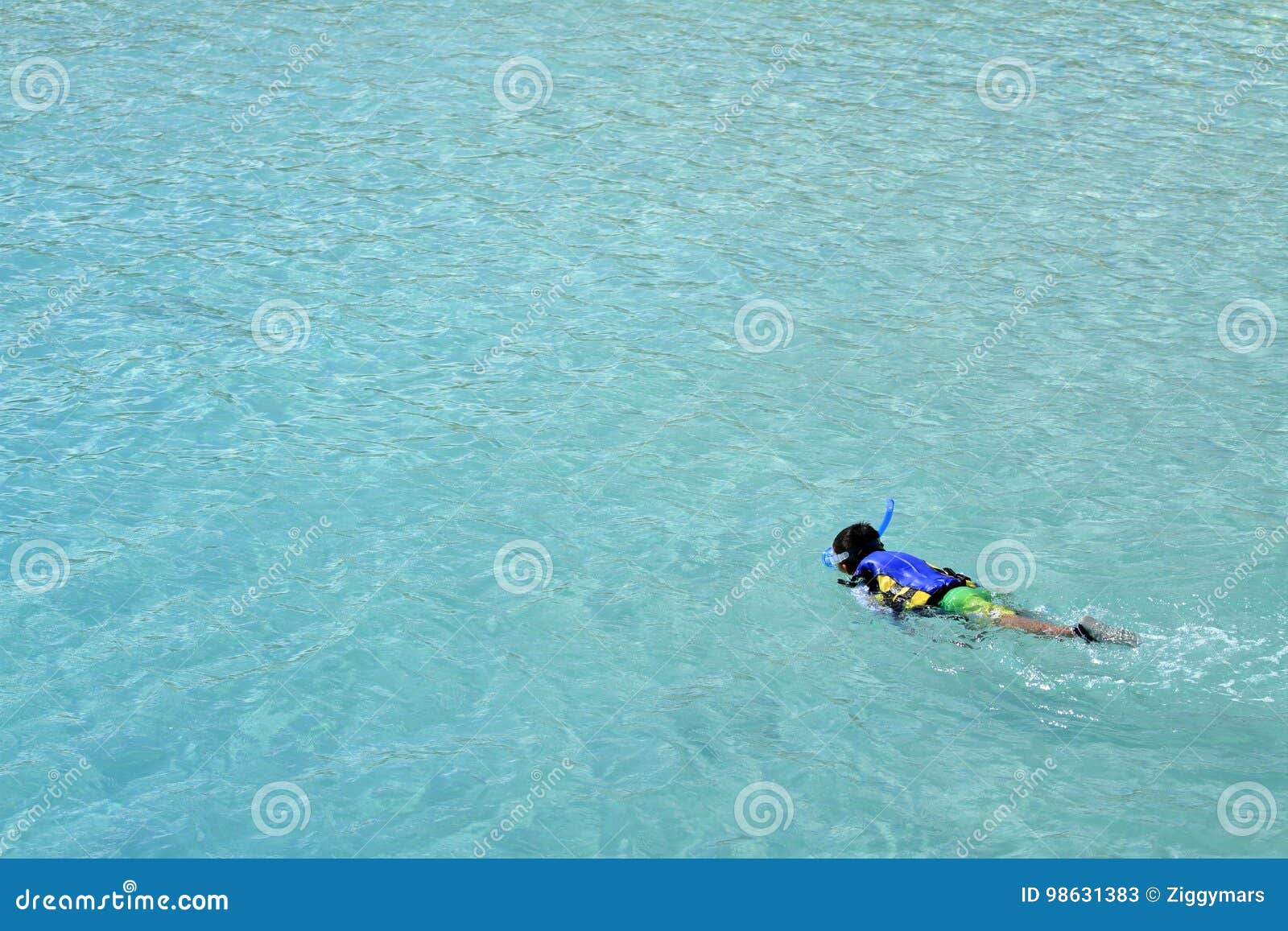 Japanese Boy Swimming with Snorkel Stock Image - Image of holiday ...