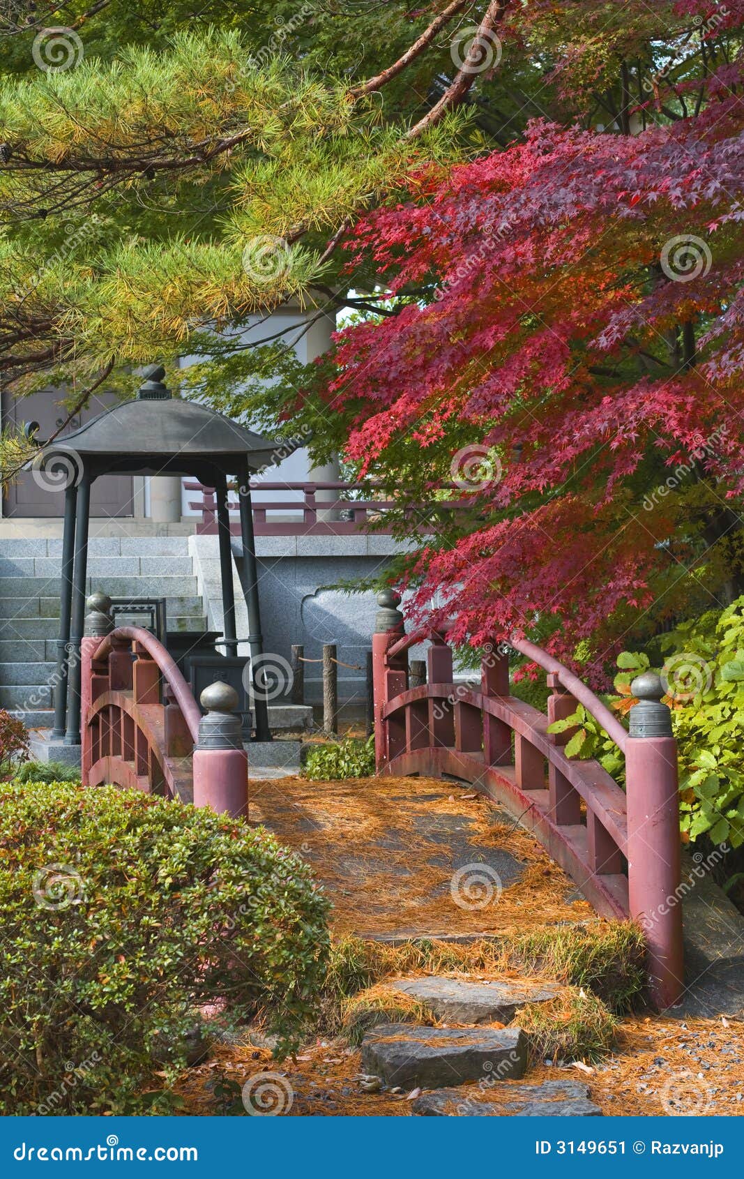 Japanese bridge stock image. Image of beauty, beautiful - 3149651