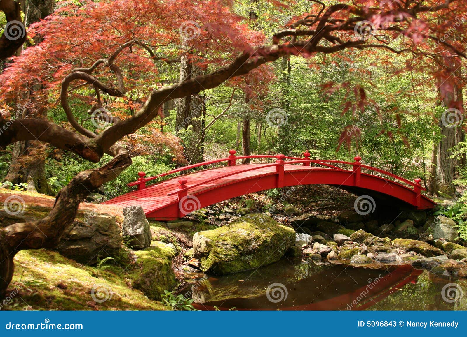 Japanese Bridge stock image. Image of pond, japanese, moss - 5096843